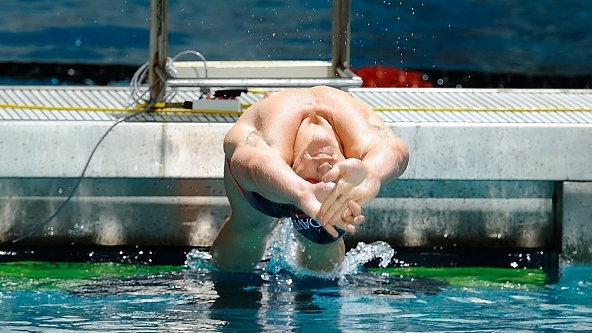 Luke Burton - Men's Swimming & Diving - Davidson College Athletics