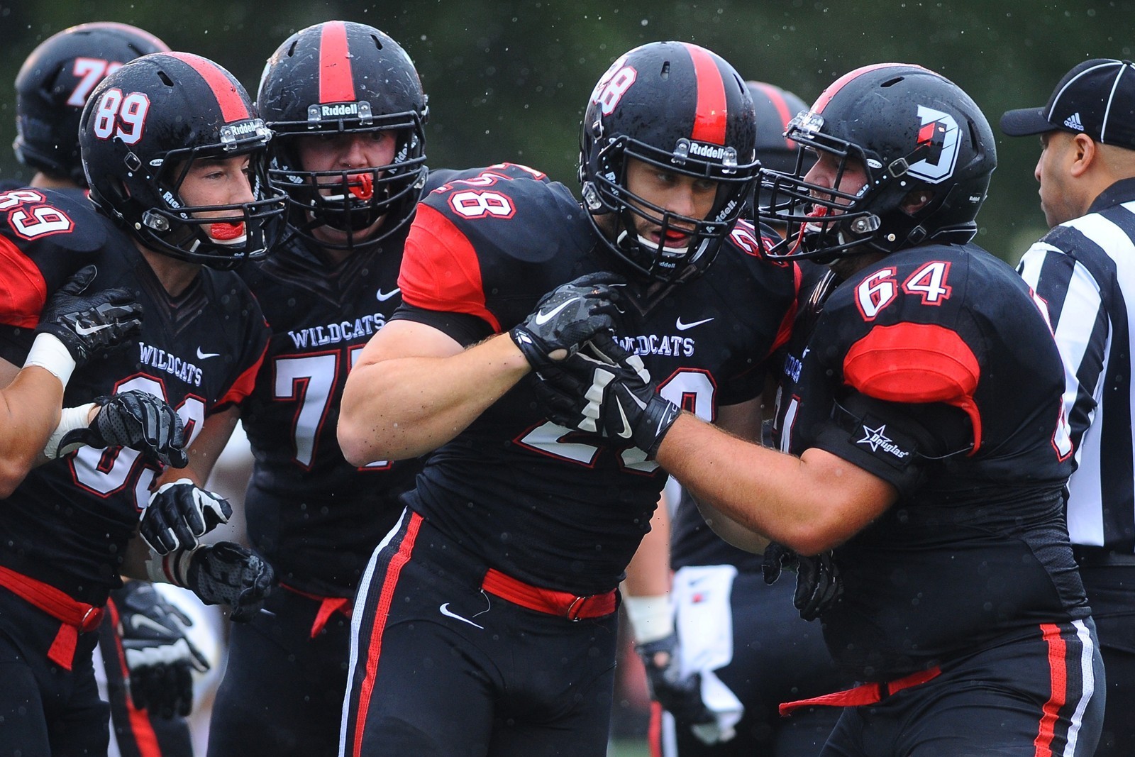 David Rogers - Football - Davidson College Athletics