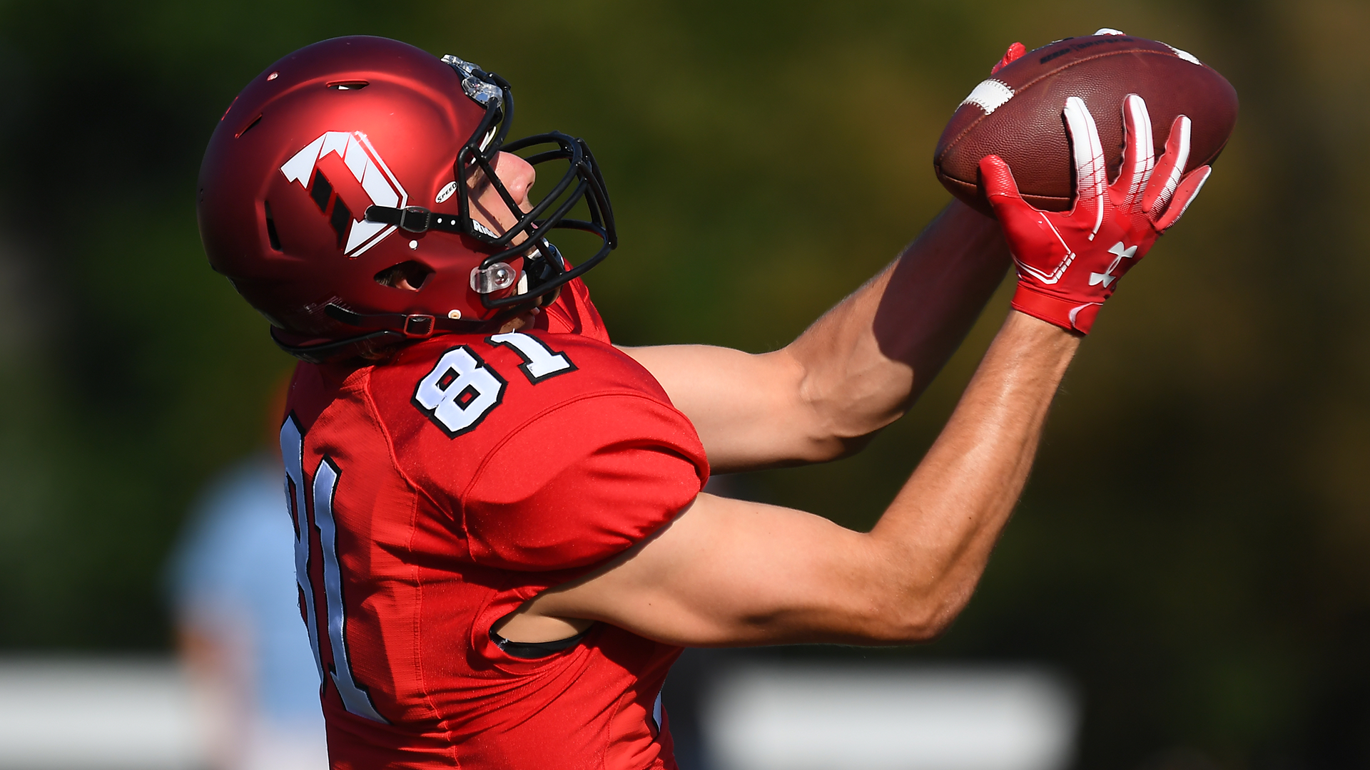 Nick Snyder - Football - Davidson College Athletics