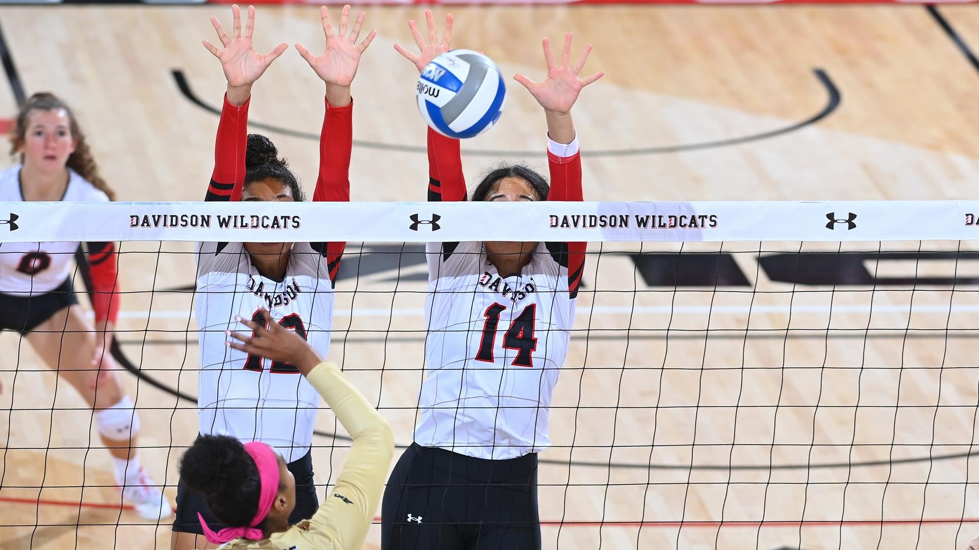 Lauryn Albold - Volleyball - Davidson College Athletics