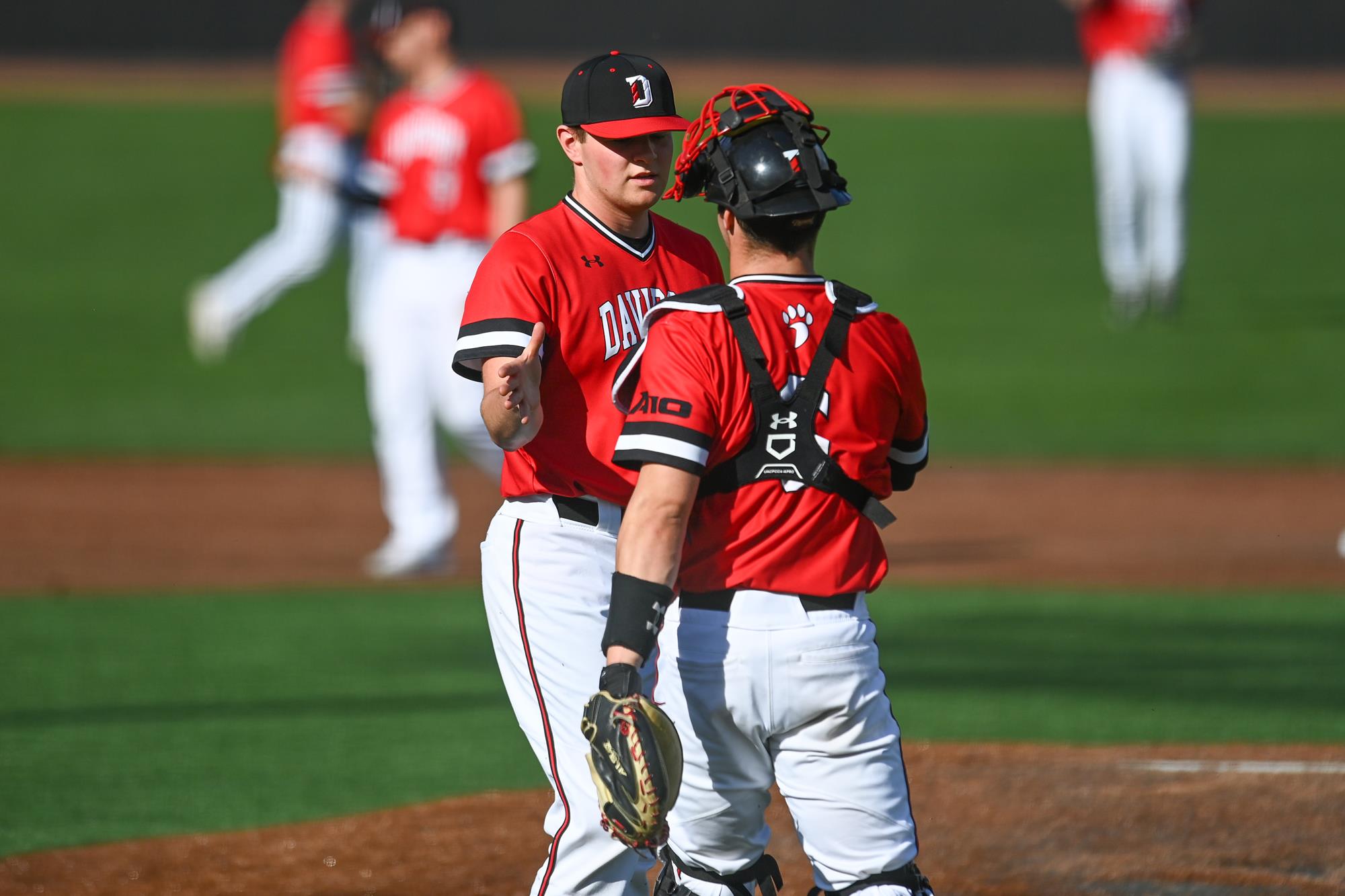 Gabe Levy - Baseball - Davidson College Athletics
