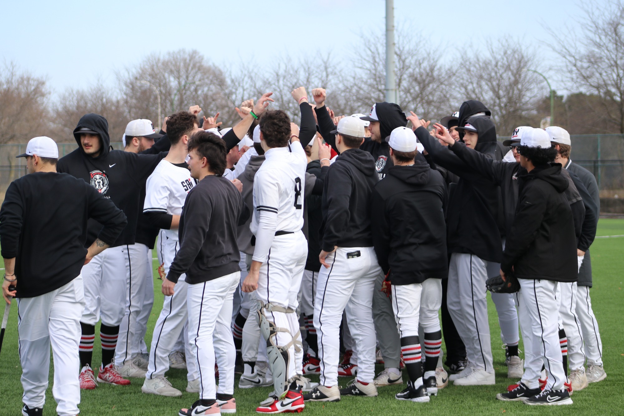Baseball Ranked 10th in the Region by NCBWA - D'Youville University