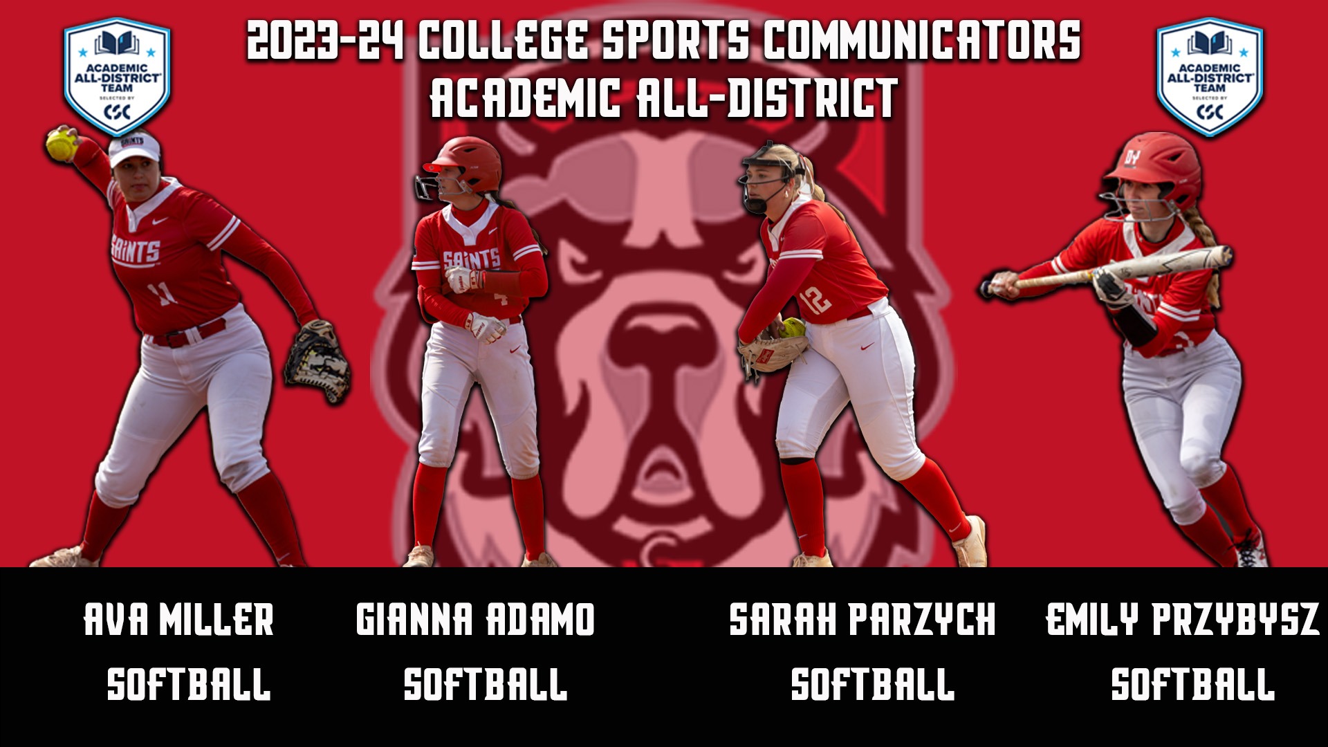 Shelly Hoerner Named Head Coach of the D’Youville University Softball ...