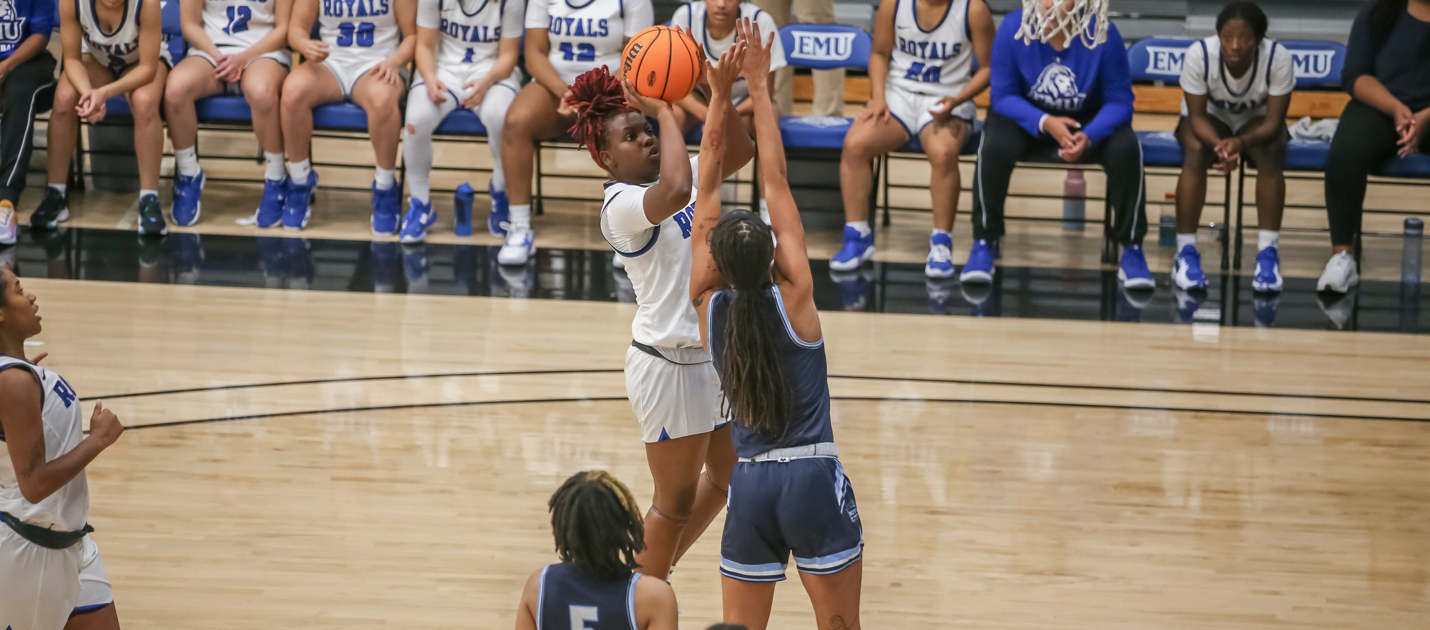 Royals Fall on the Road at Shenandoah - Eastern Mennonite University