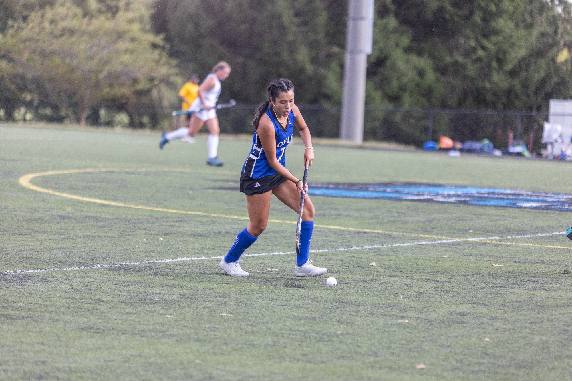 Royals Drop Road Matchup at Virginia Wesleyan - Eastern Mennonite ...