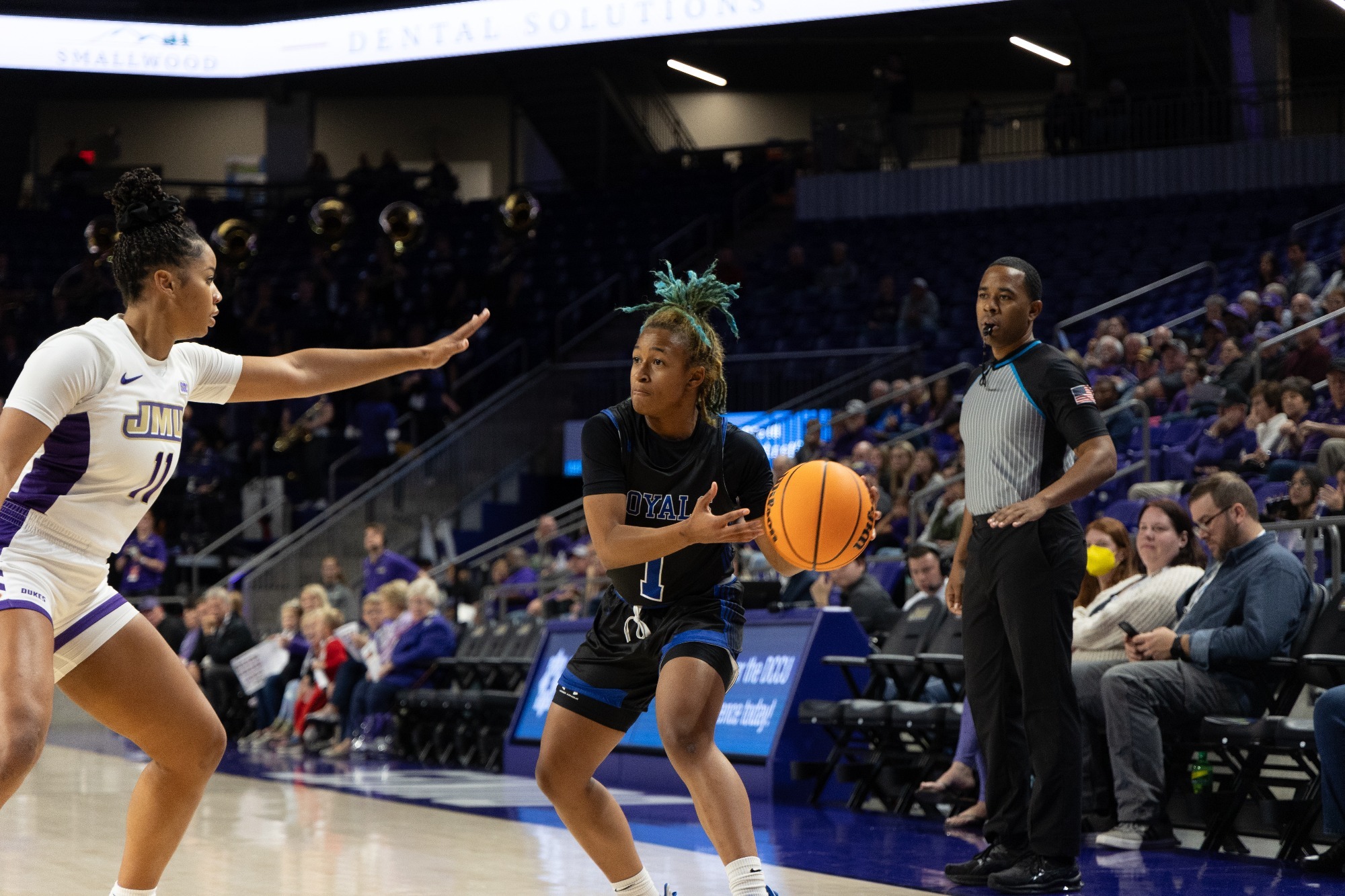 Four Royals Score in Double Figures to Down Mary Baldwin 76-38 ...