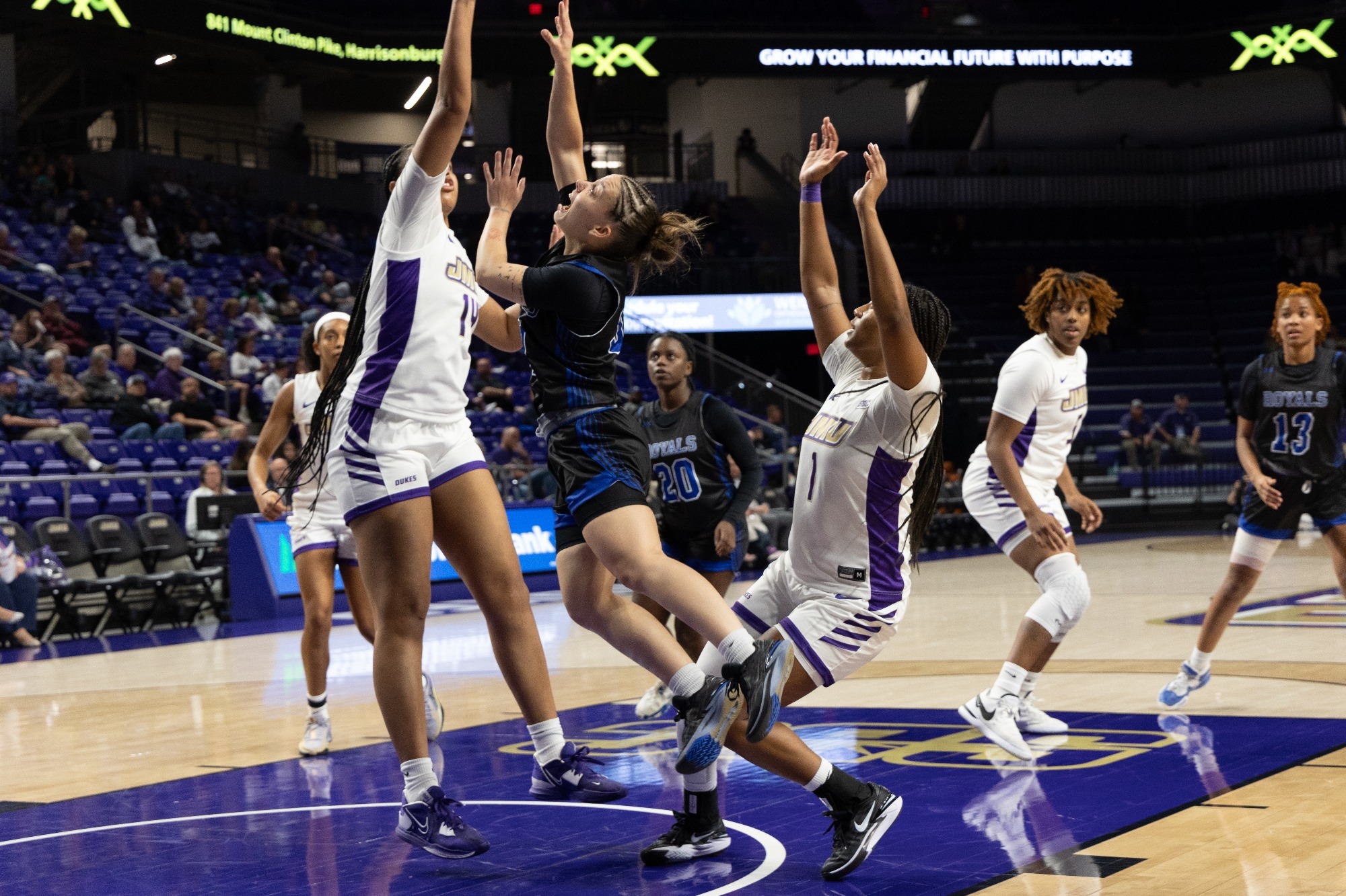 Kayla Surles - 2023-24 - Women's Basketball - Eastern Mennonite University