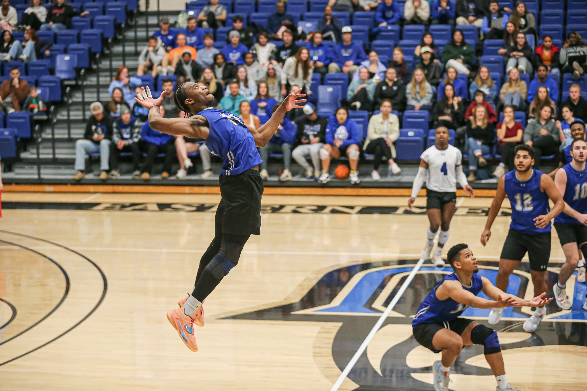 David Ward - 2024 - Men's Volleyball - Eastern Mennonite University