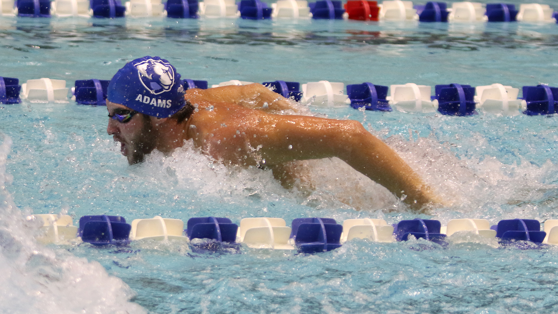 Alex Adams - Men's Swimming - Eastern Illinois University Athletics
