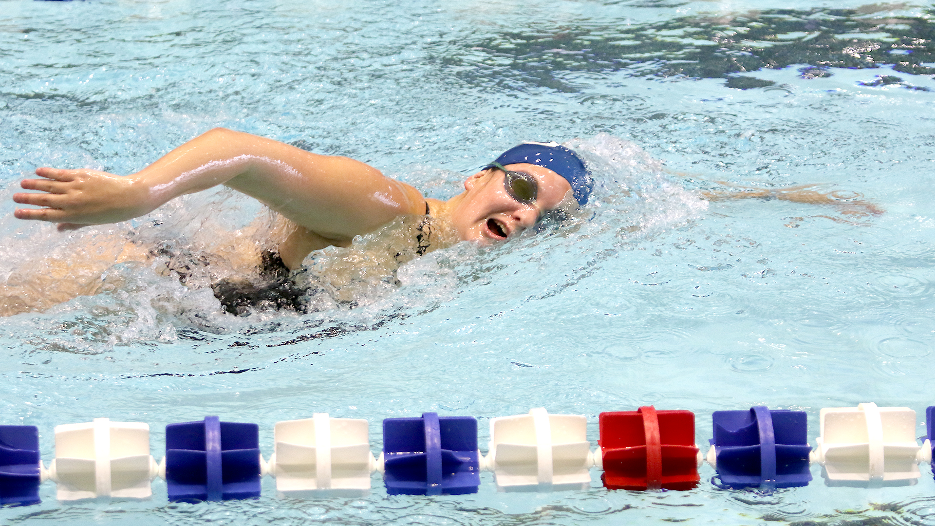 Emma Cox - Women's Swimming - Eastern Illinois University Athletics