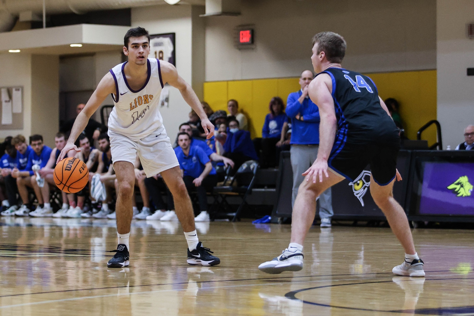 Men's Basketball Holds Off Babson - Emerson College