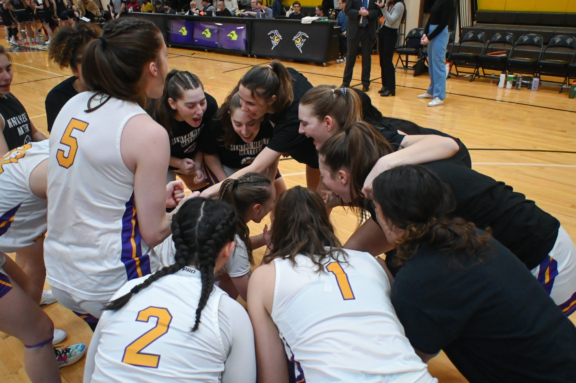 Frongillo Scores 25 Points as Lions Late Rally Comes up Short - Emerson ...