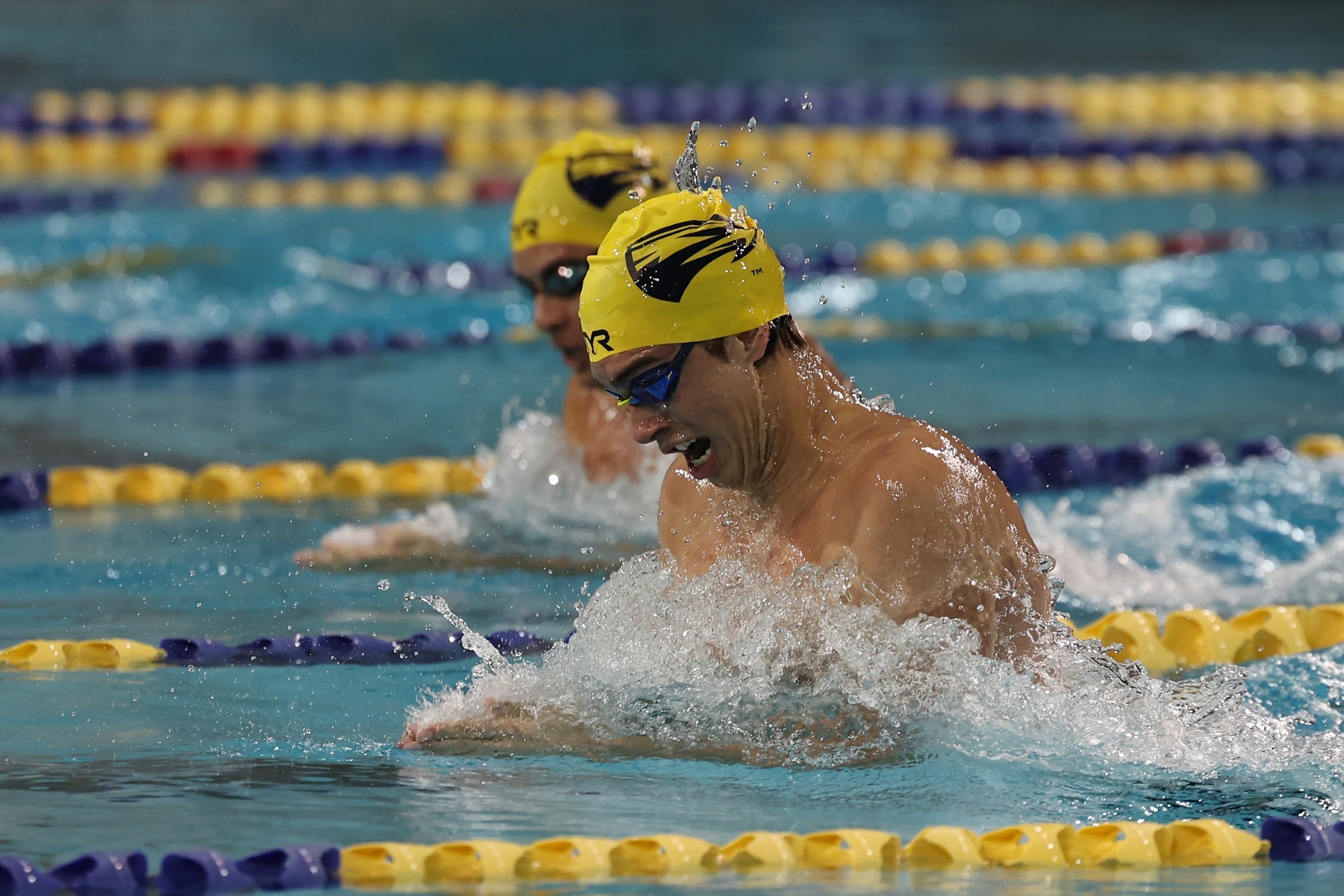 Swimming and Diving Celebrates Senior Day with Tri-Meet Wins Over Berry ...