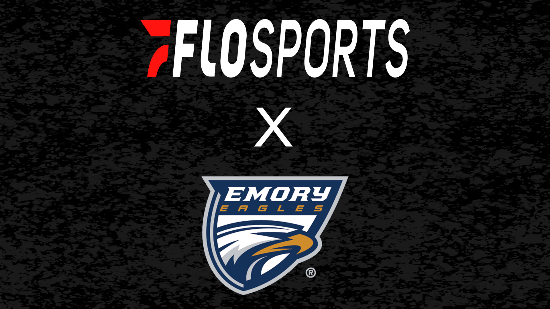 Six Legendary Eagles Named to First Full UAA Hall of Fame Class - Emory ...