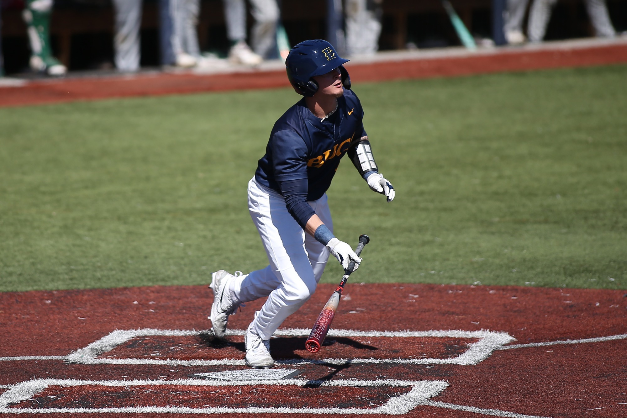 Noah Webb - 2024 - Baseball - East Tennessee State University