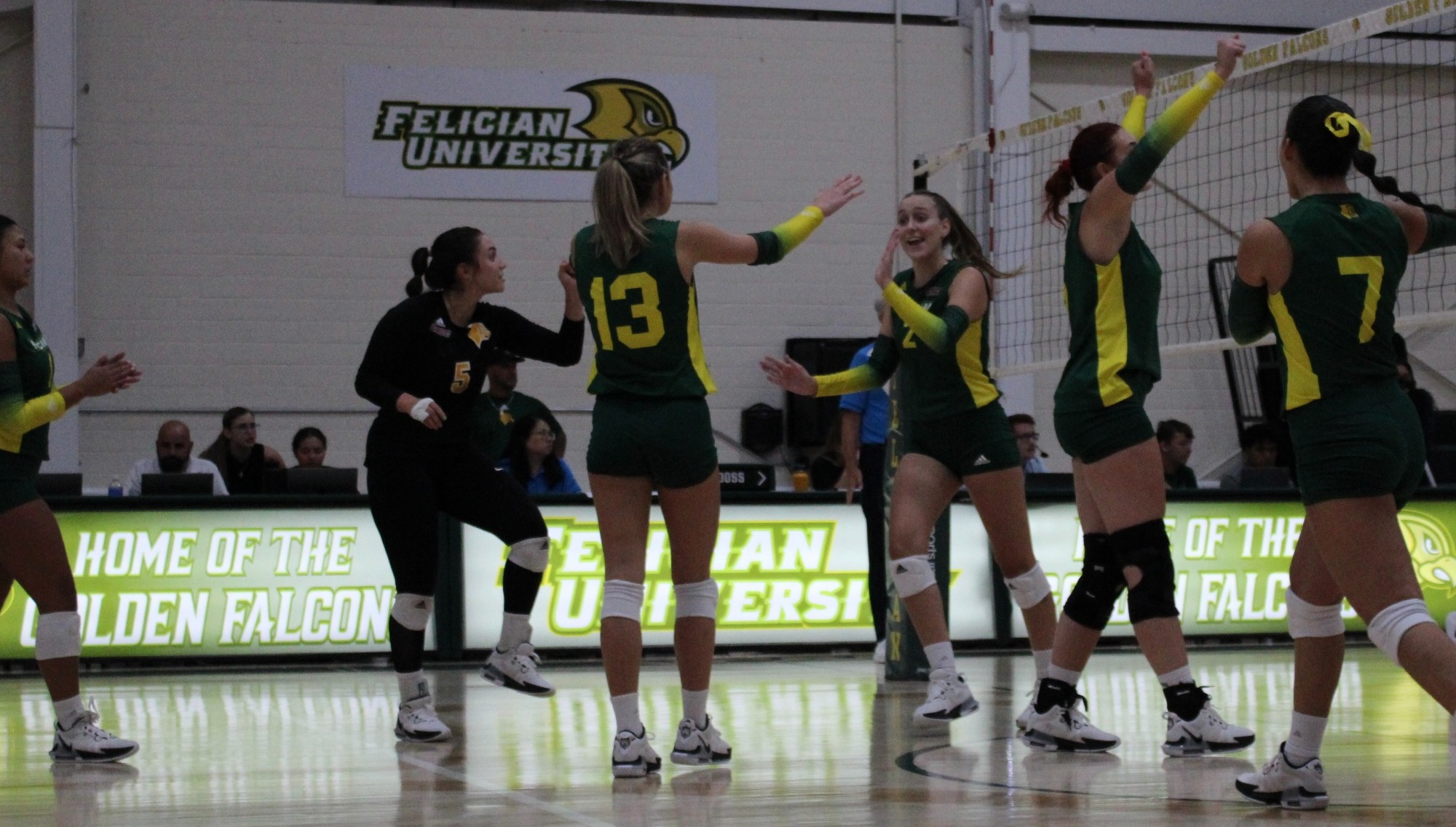 Golden Falcons Soar Over Lincoln (Pa.) and STAC for A Dual Match Sweep ...