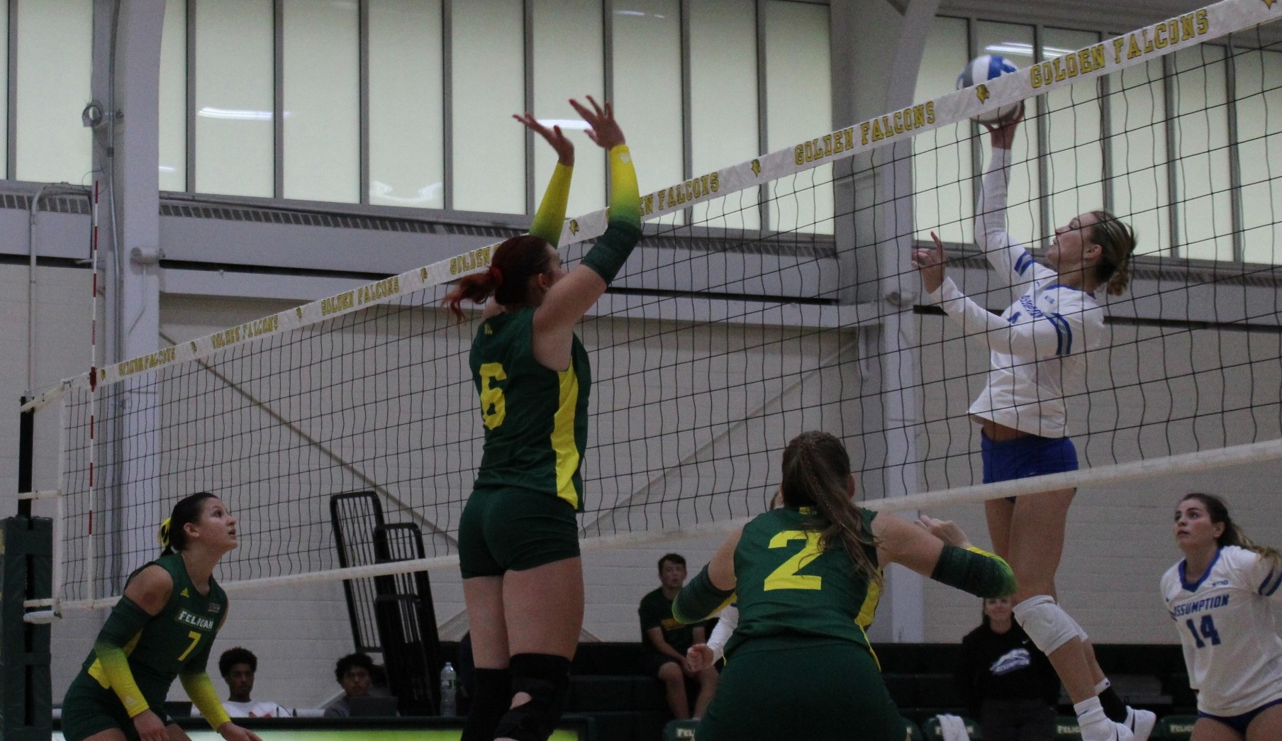 Jelena Vucic - 2023 - Women's Volleyball - Felician University