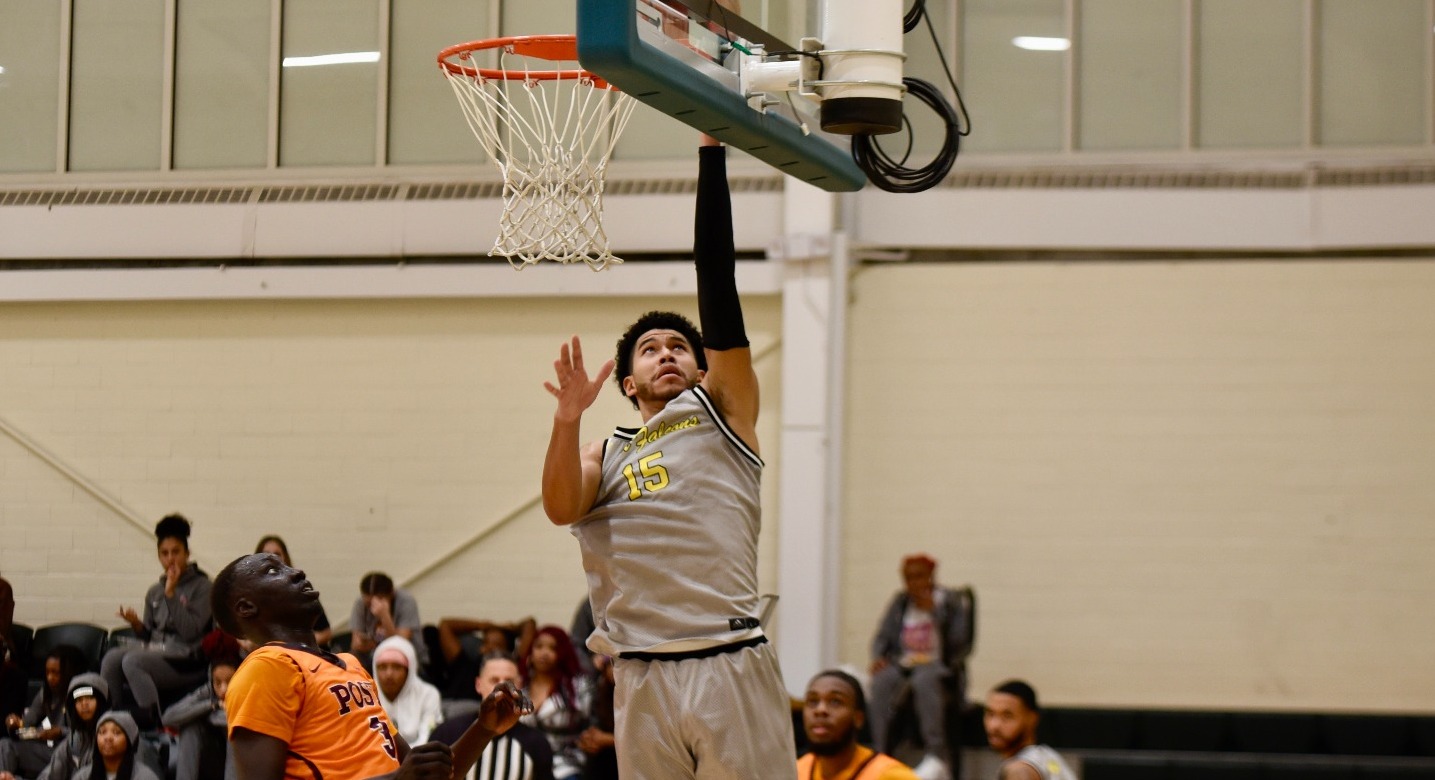 Golden Falcons Split CACC Regular Season Series with Bears - Felician ...