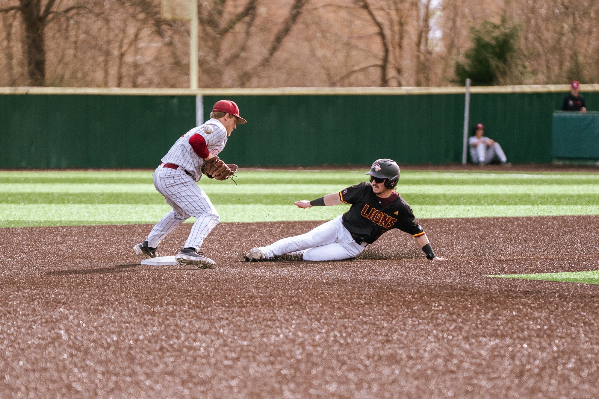 2025 Baseball Schedule - Freed-Hardeman University