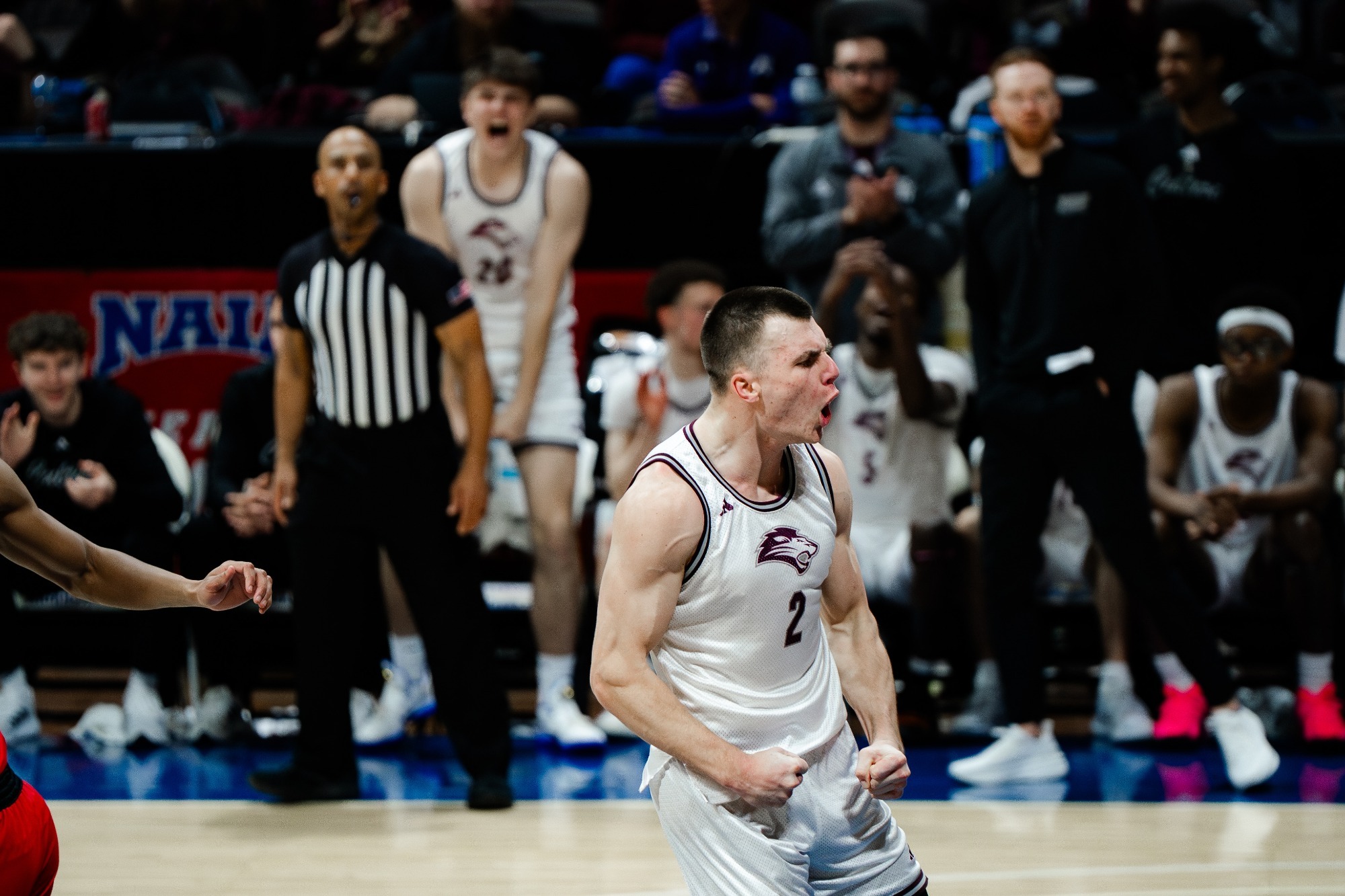 FHU's quest to repeat as champions ends in Fab Four - Freed-Hardeman ...