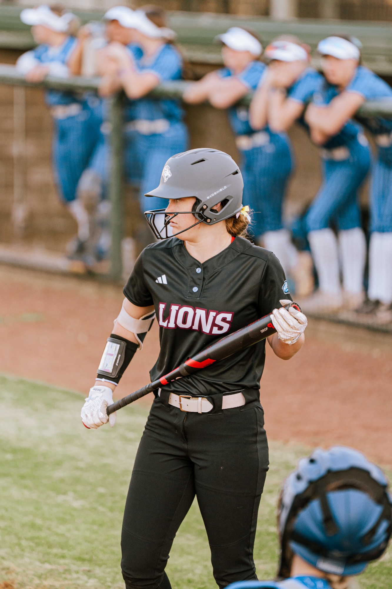 2025 Softball Schedule - Freed-Hardeman University