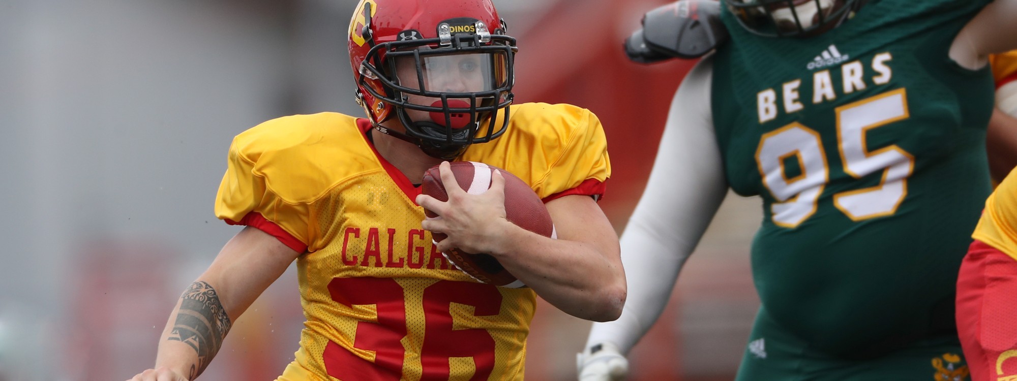 Bryce Harper - 2016 - Football - University of Calgary Athletics