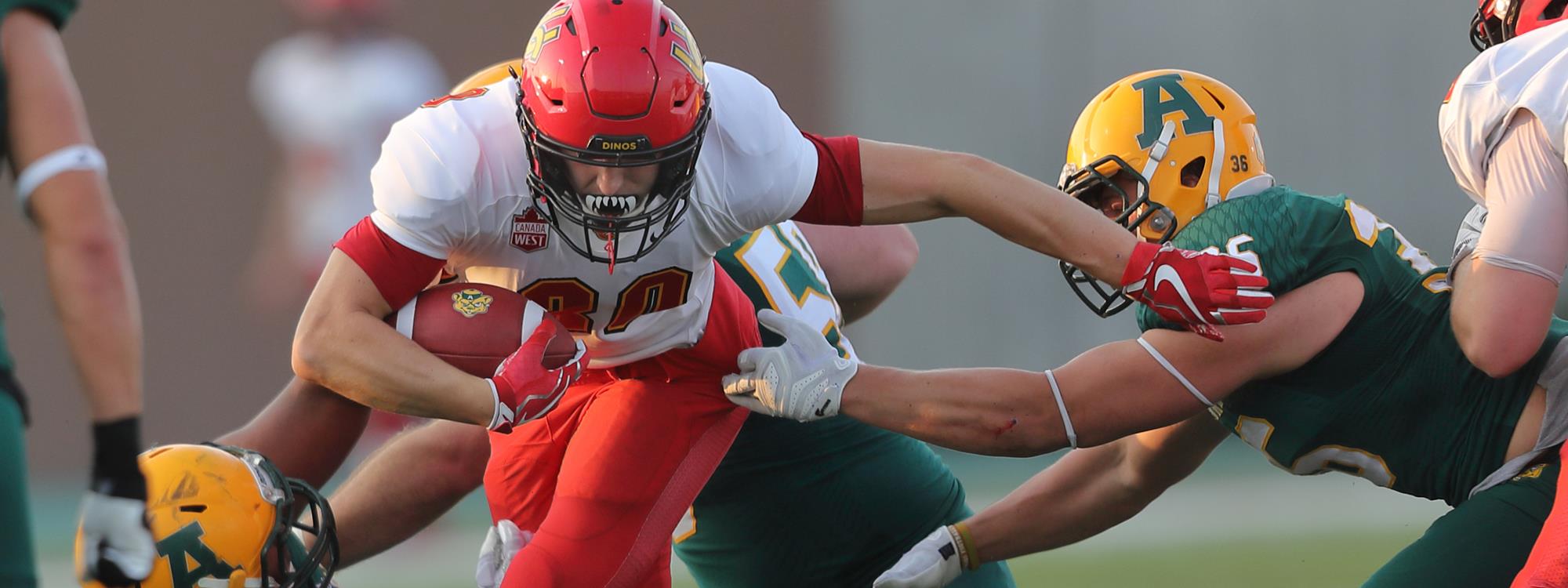 Robert Stewart - 2017 - Football - University of Calgary Athletics