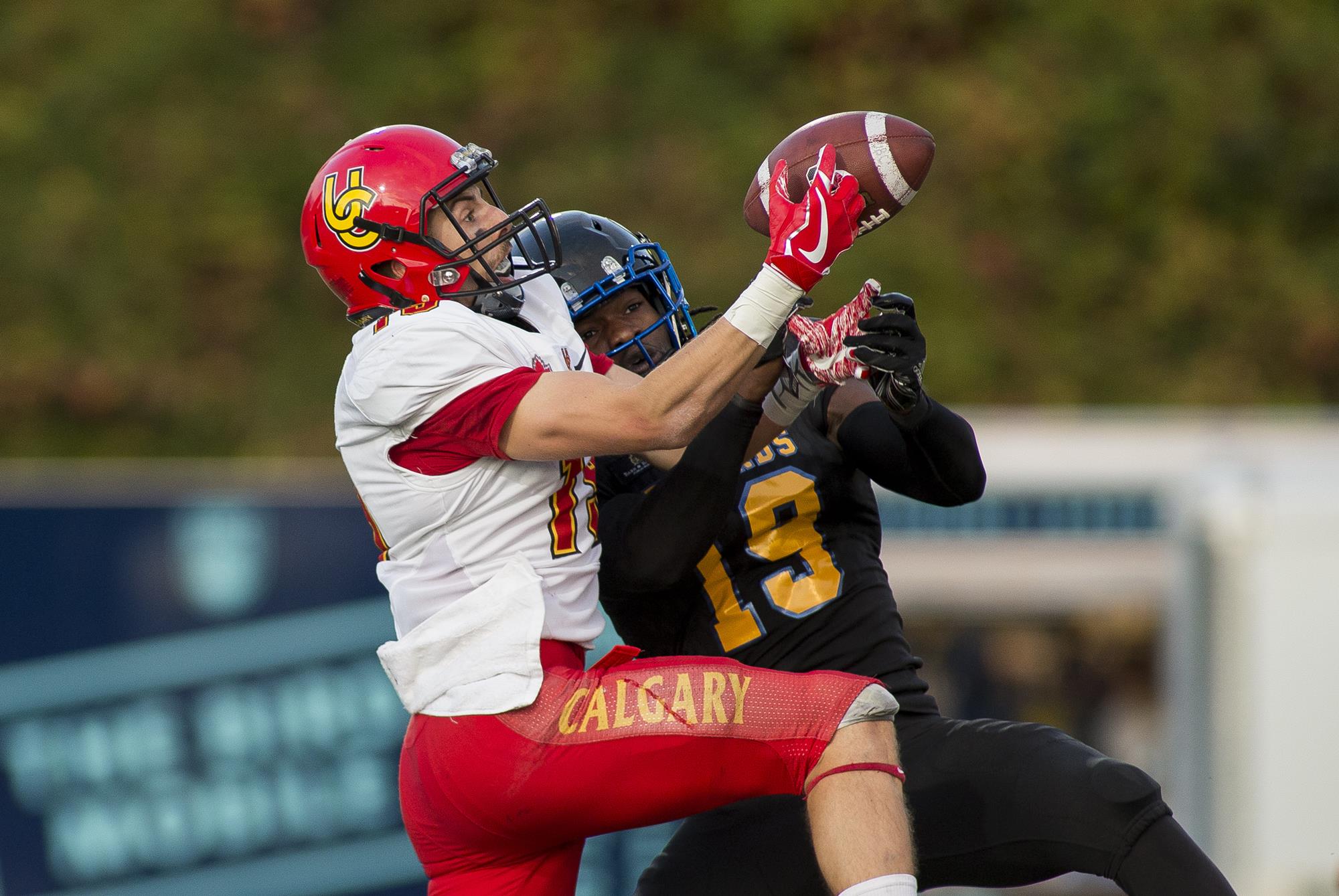 Michael Klukas - 2017 - Football - University of Calgary Athletics