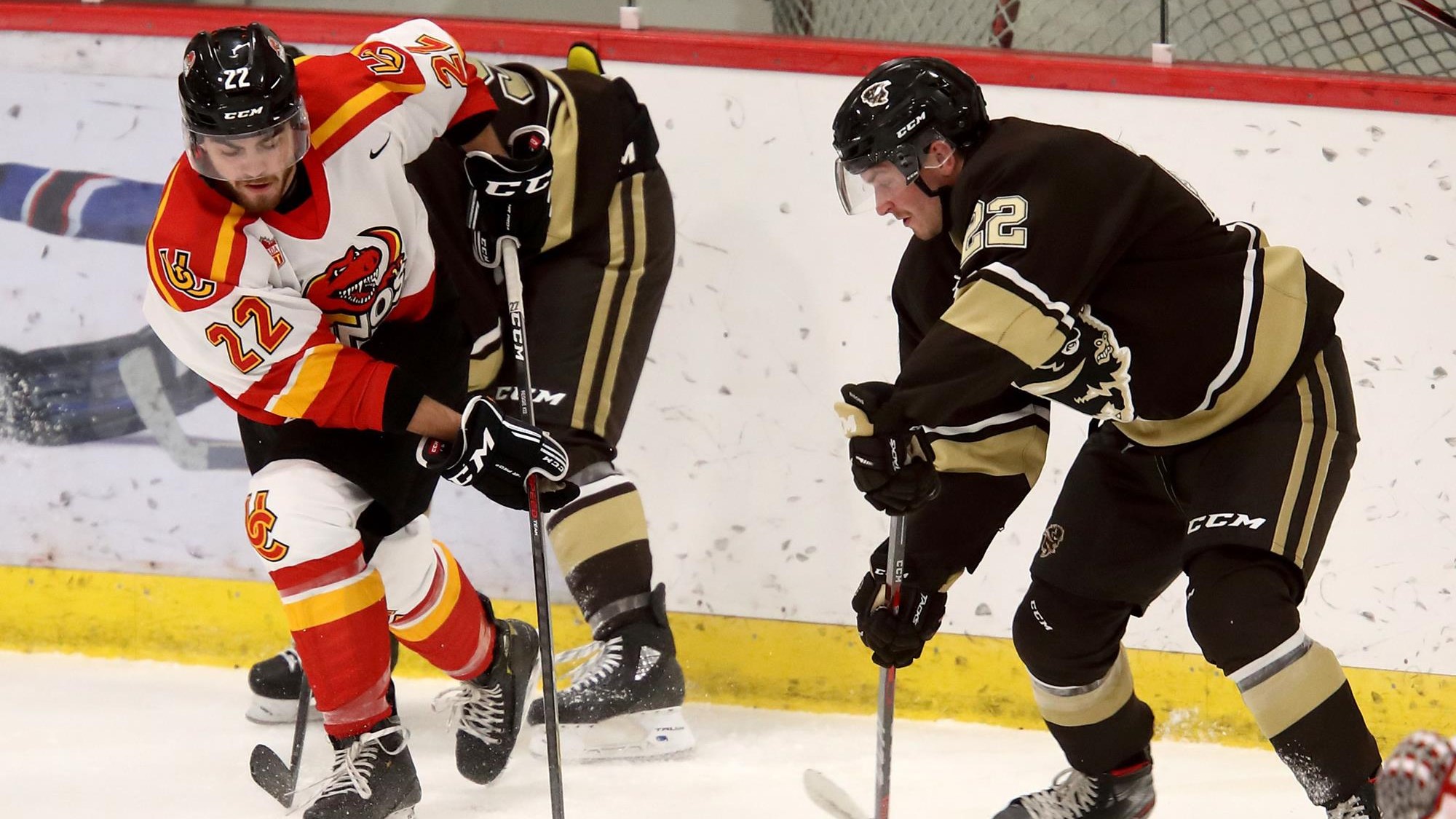 Josh Rieger - 2021-22 - Men's Hockey - University of Calgary Athletics