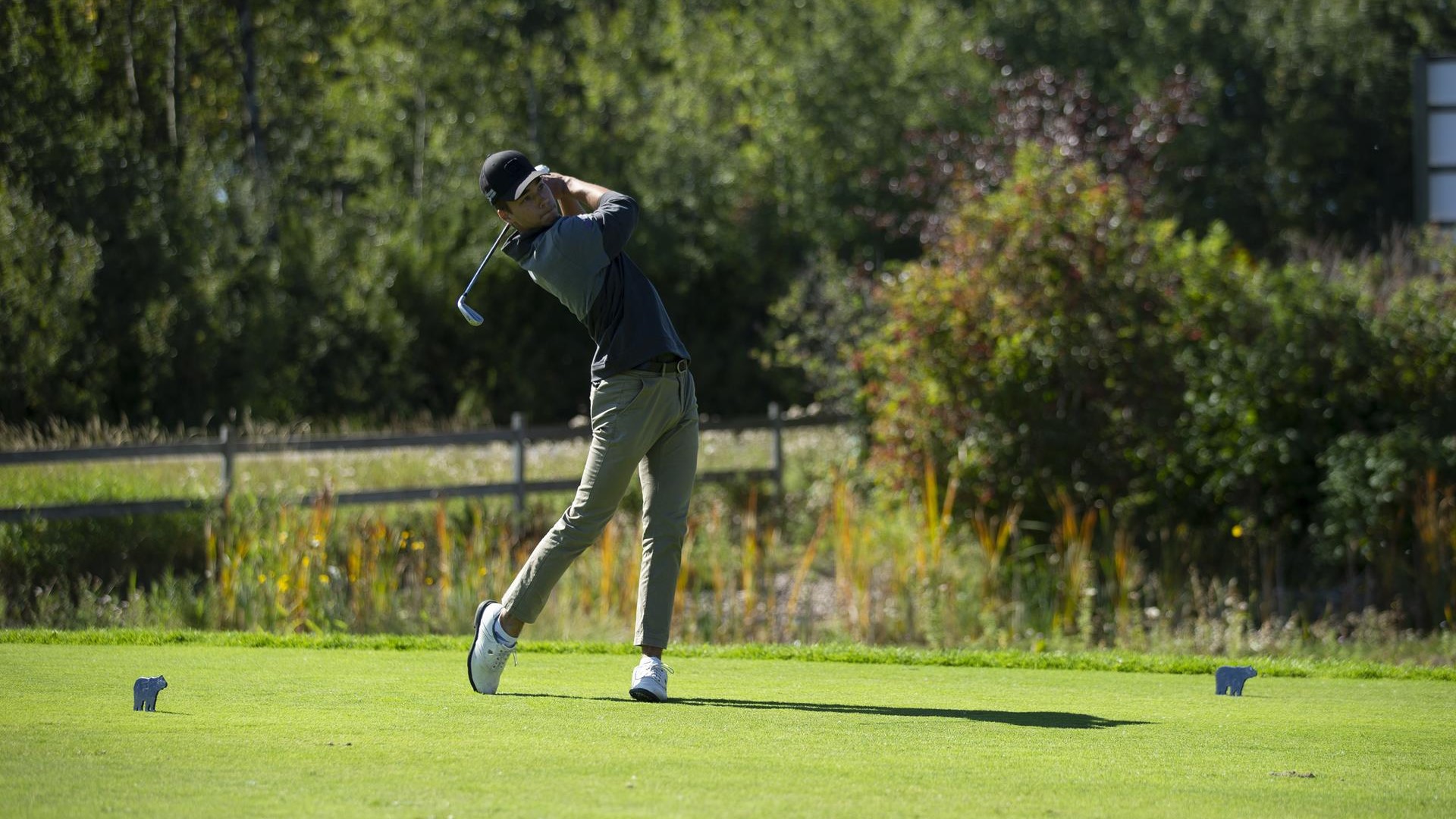 Dinos sweep home tournament to continue hot start - University of ...