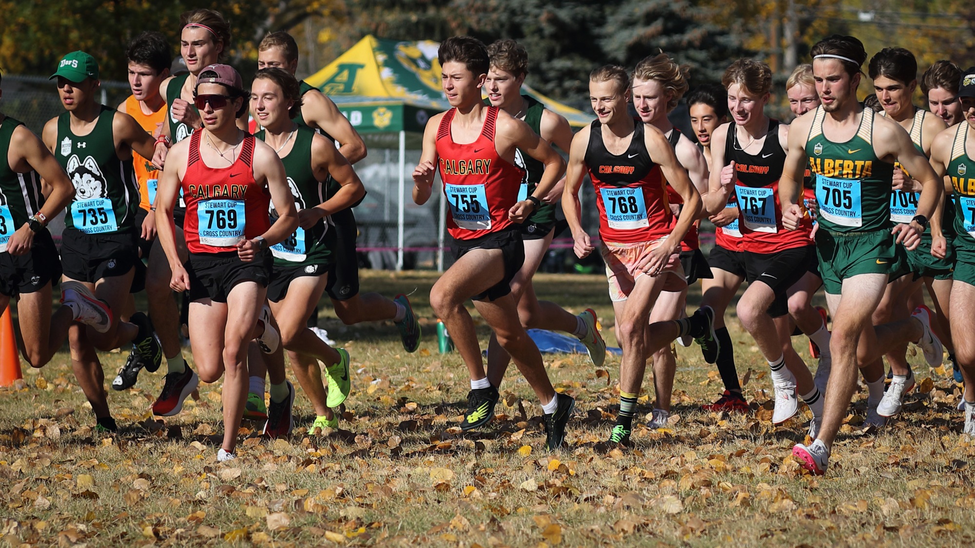 Joshua Bateman - 2022 - Cross Country - University of Calgary Athletics
