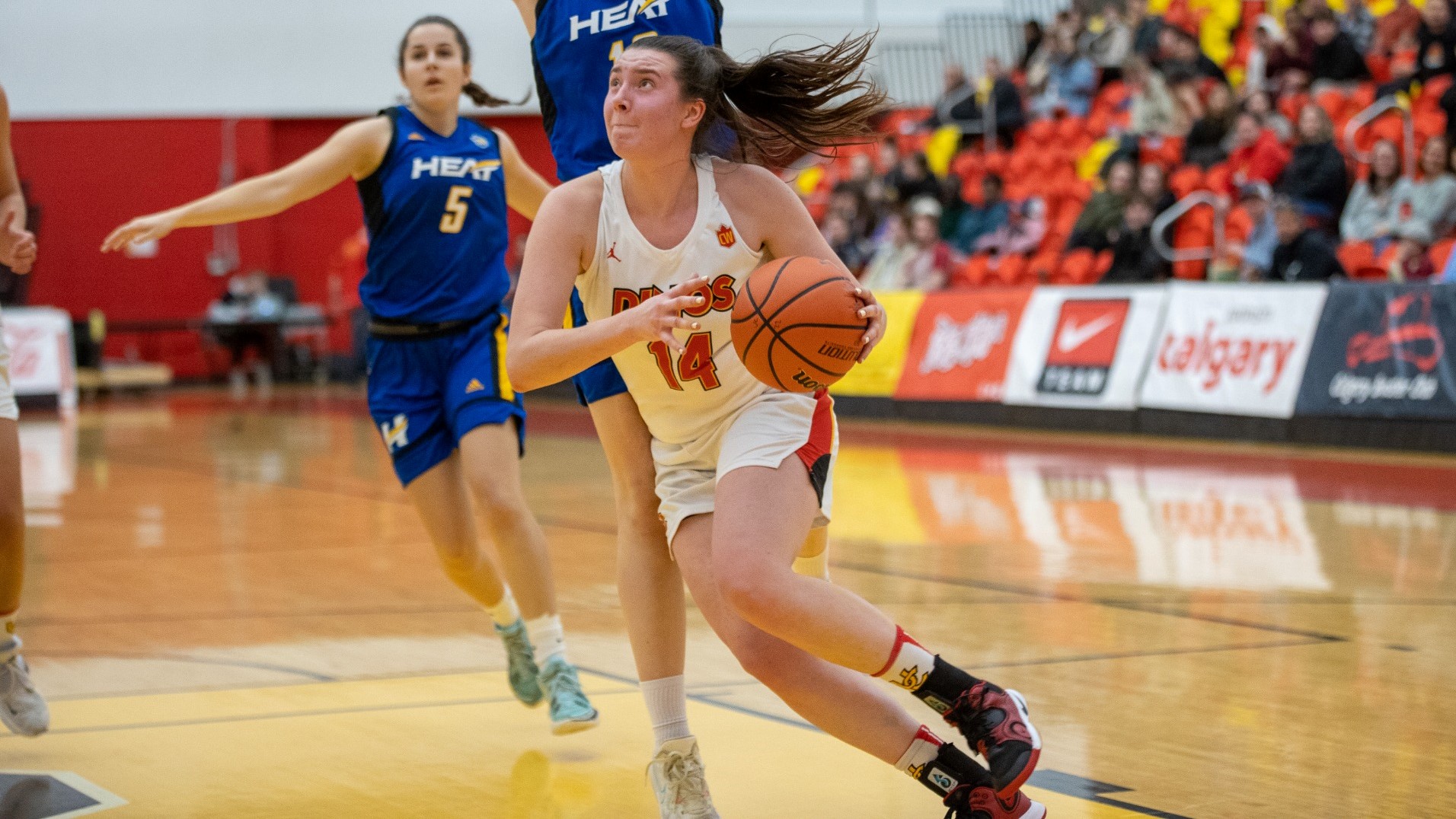 Madison Landry - 2022-23 - Women's Basketball - University of Calgary ...