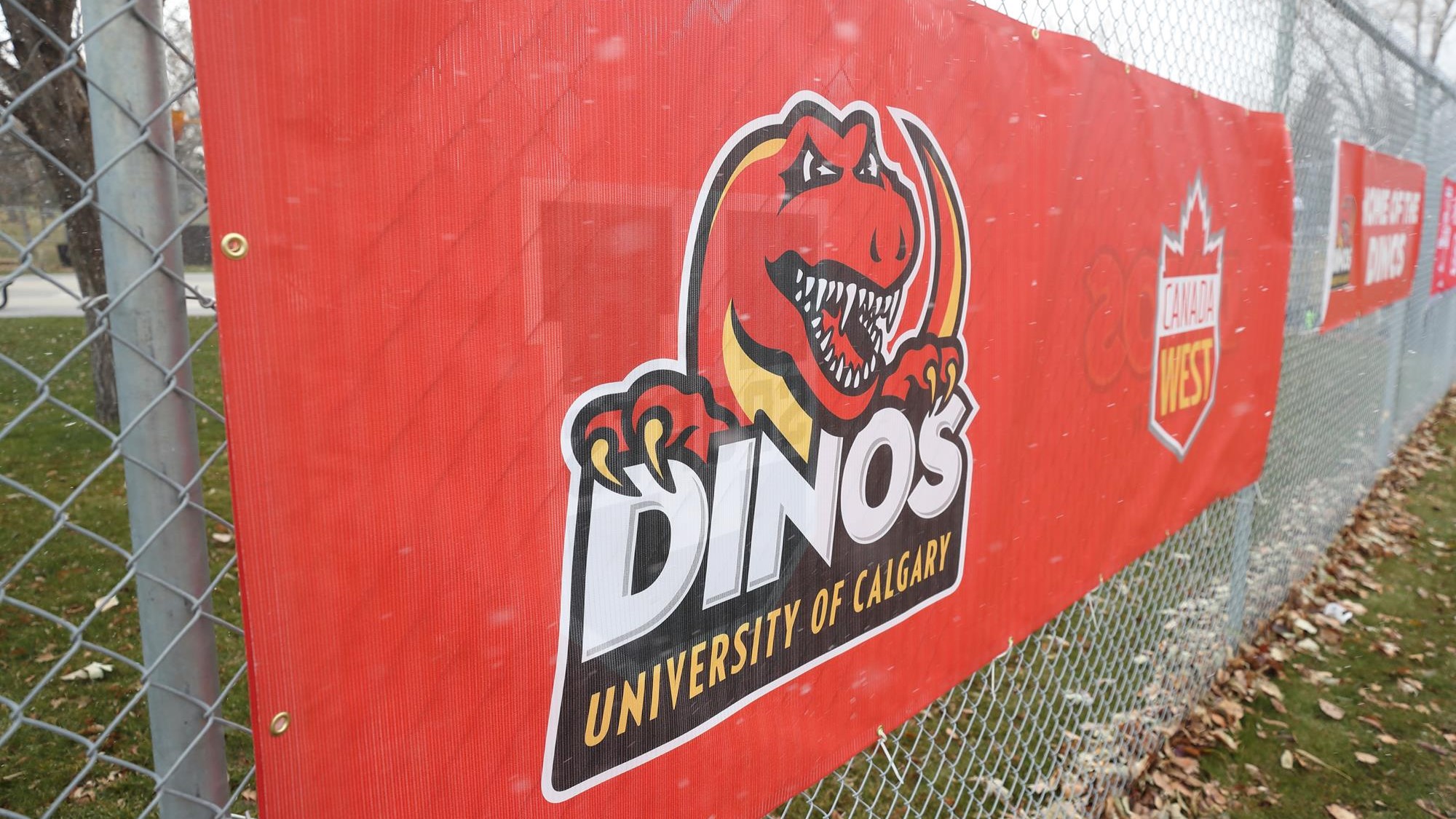 Call for Nominations: Dinos Hall of Fame - University of Calgary Athletics