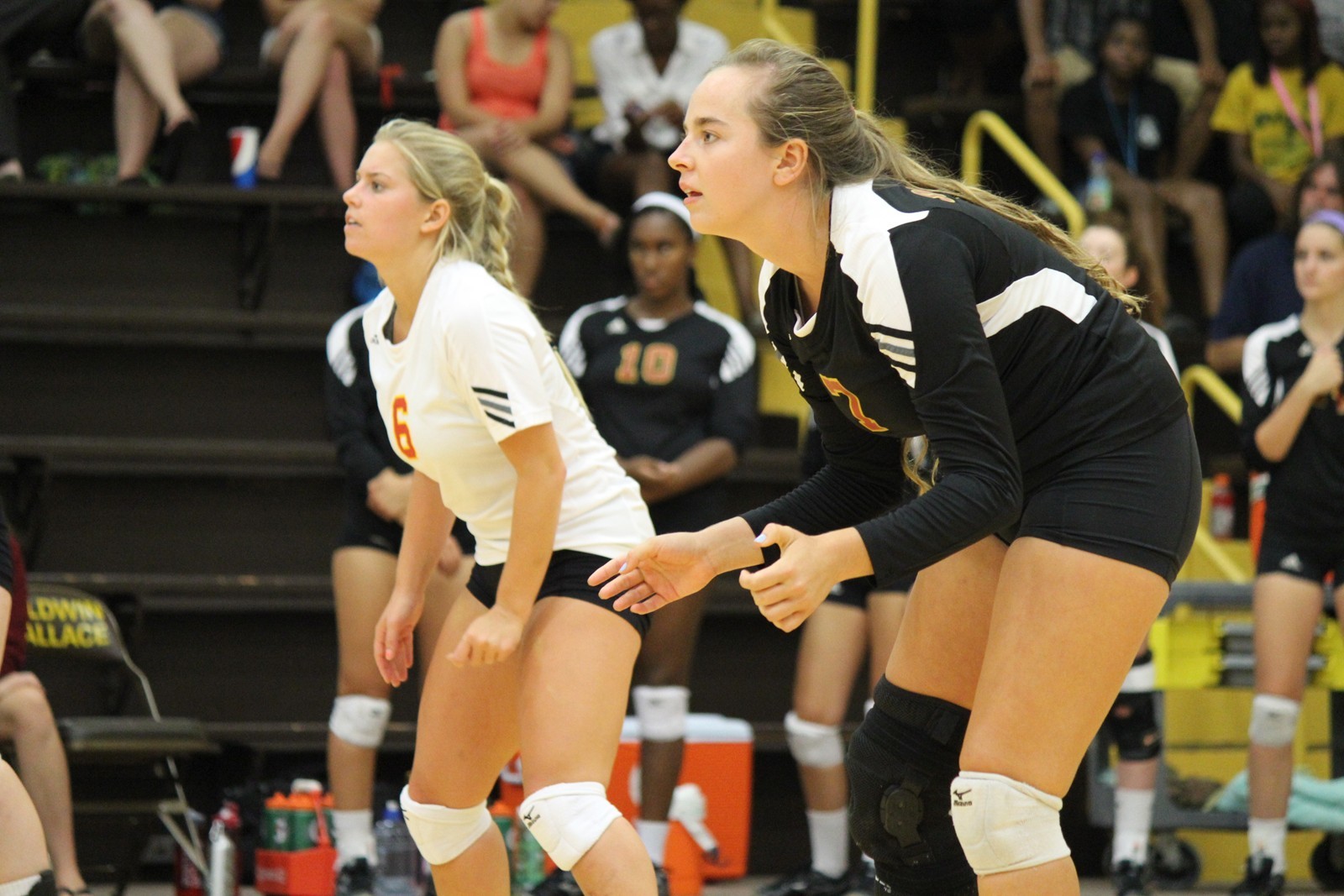 Molly Powers '16 - Women's Volleyball - Oberlin College Athletics