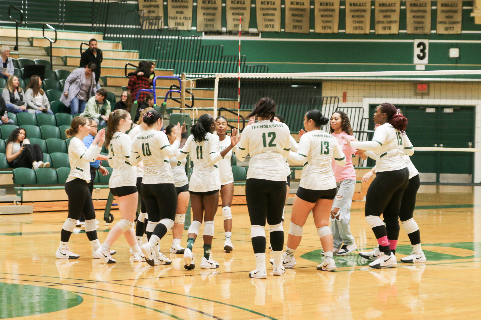 Women's Basketball 2024-25: A Season of Improvement - Highline College