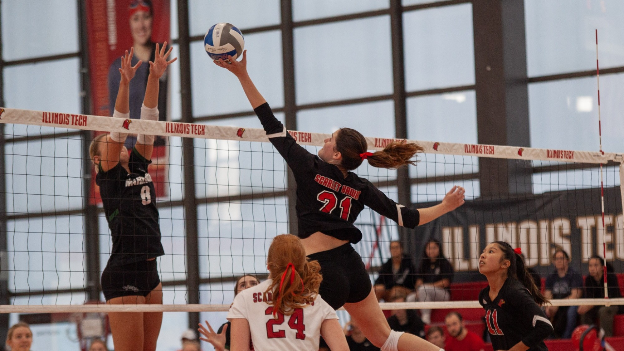 Women's Volleyball Upends Marian - Stays Alive For Postseason Berth ...
