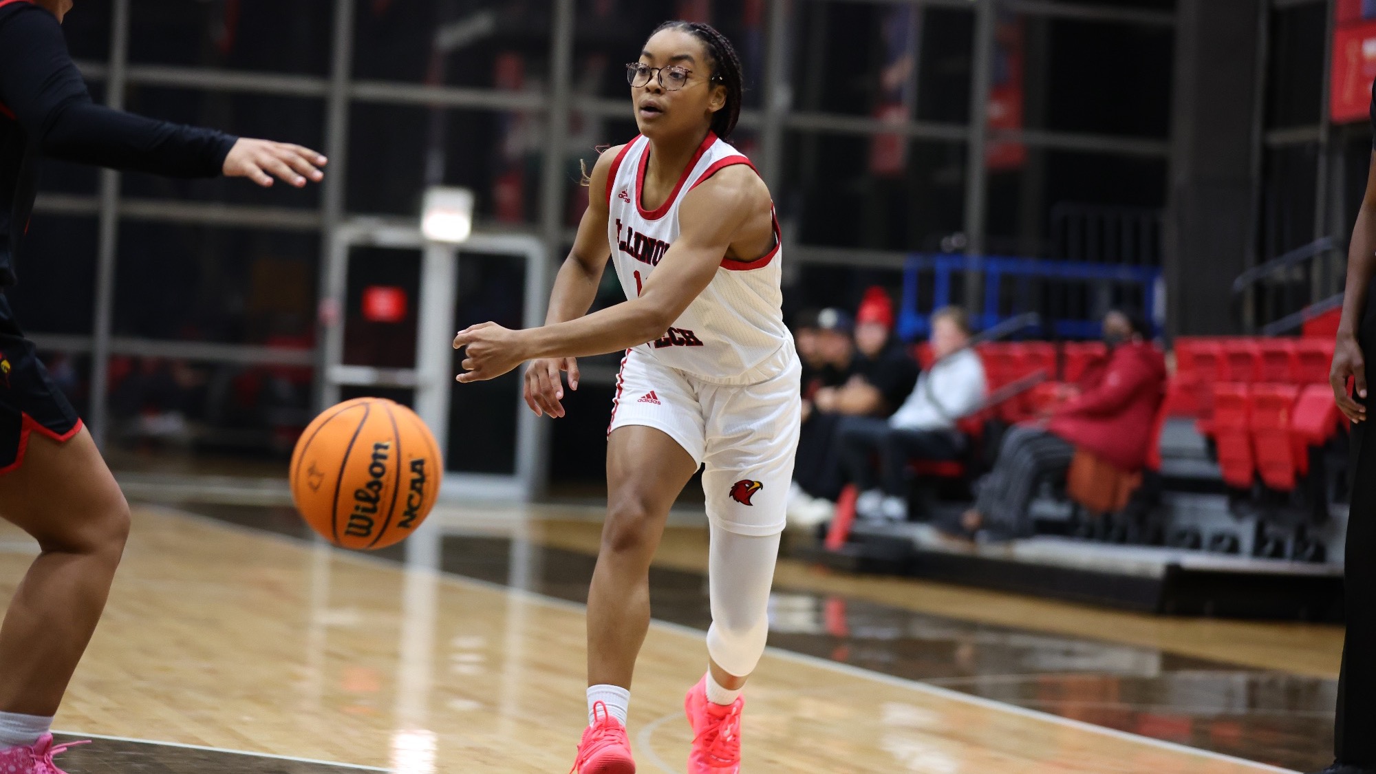 Ryell Sandifer - 2023-24 - Women's Basketball - Illinois Institute of ...