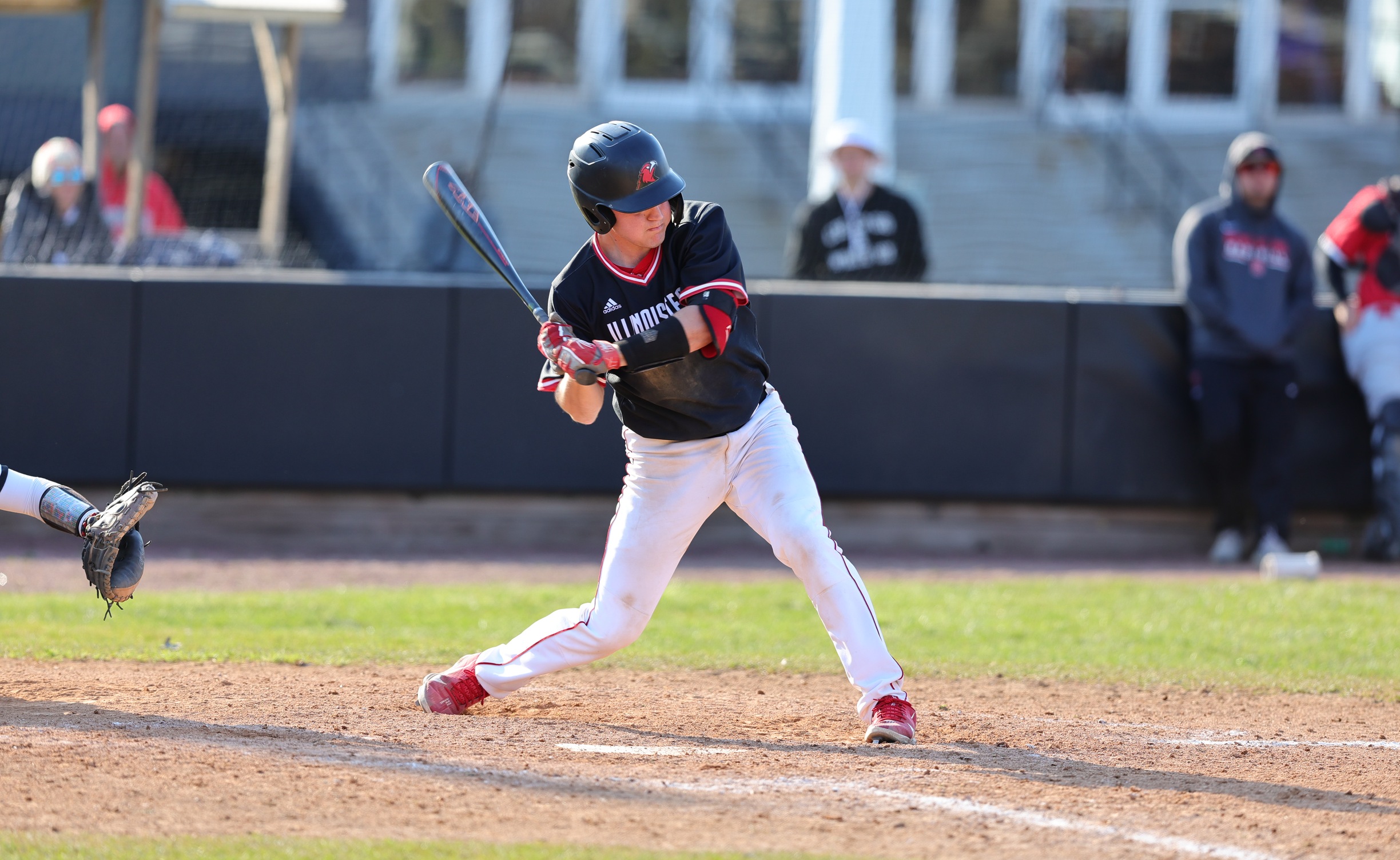 Baseball Splits Series With Rockford - Illinois Institute of Technology