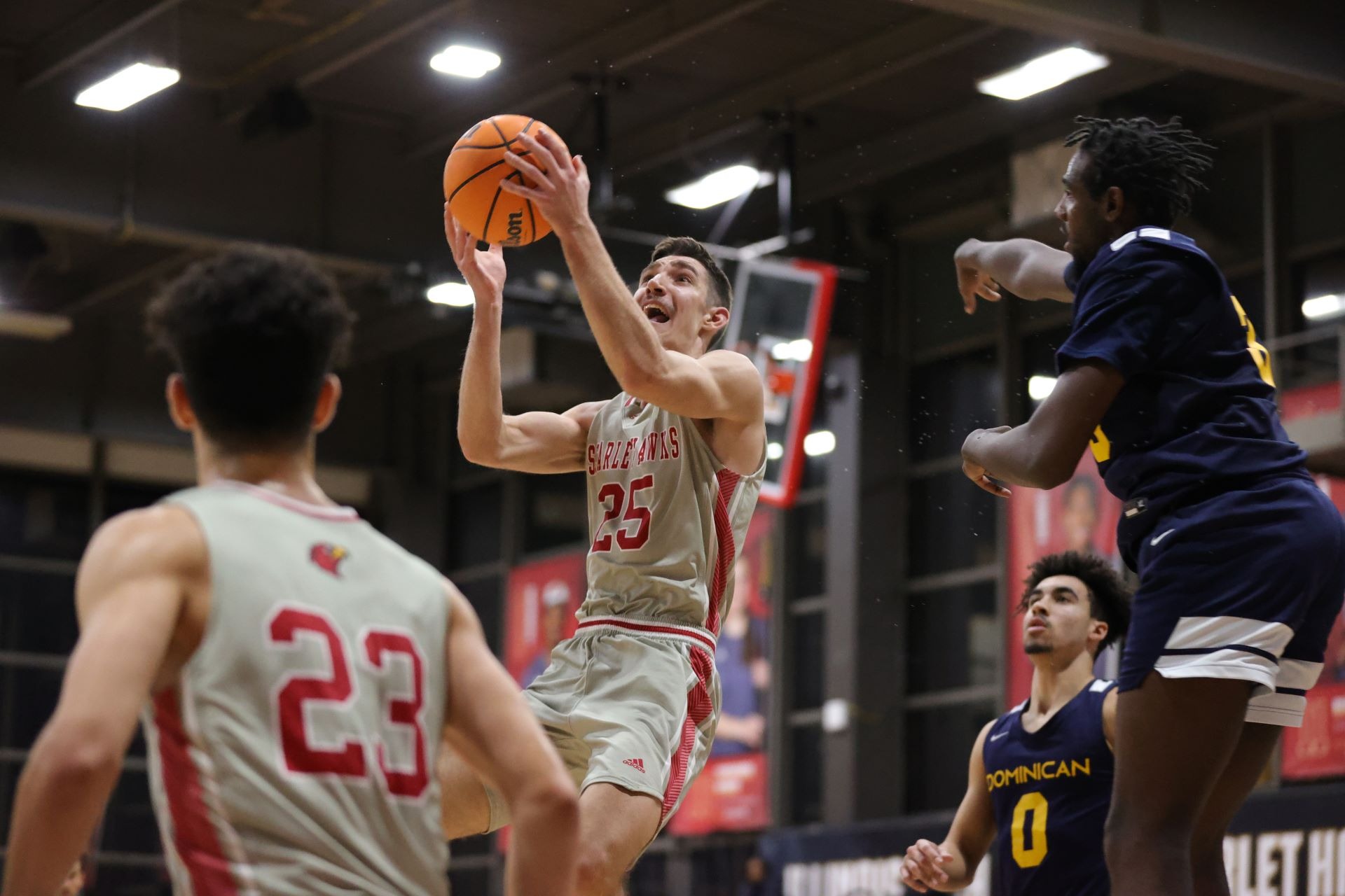 Milos Dugalic - 2022-23 - Men's Basketball - Illinois Institute of ...