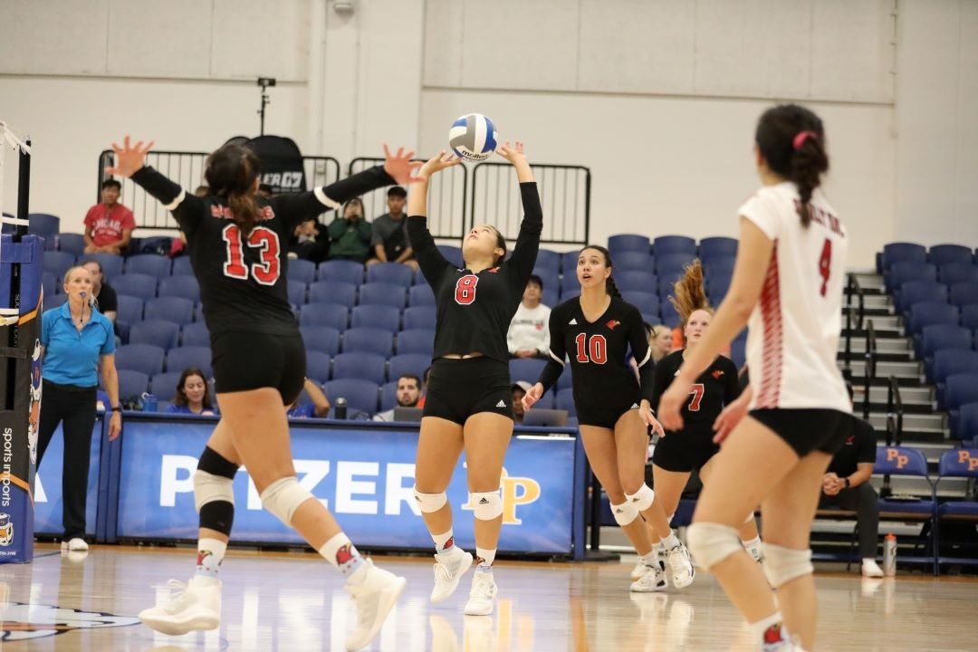 Michelle Navarro - 2023 - Women's Volleyball - Illinois Institute of ...