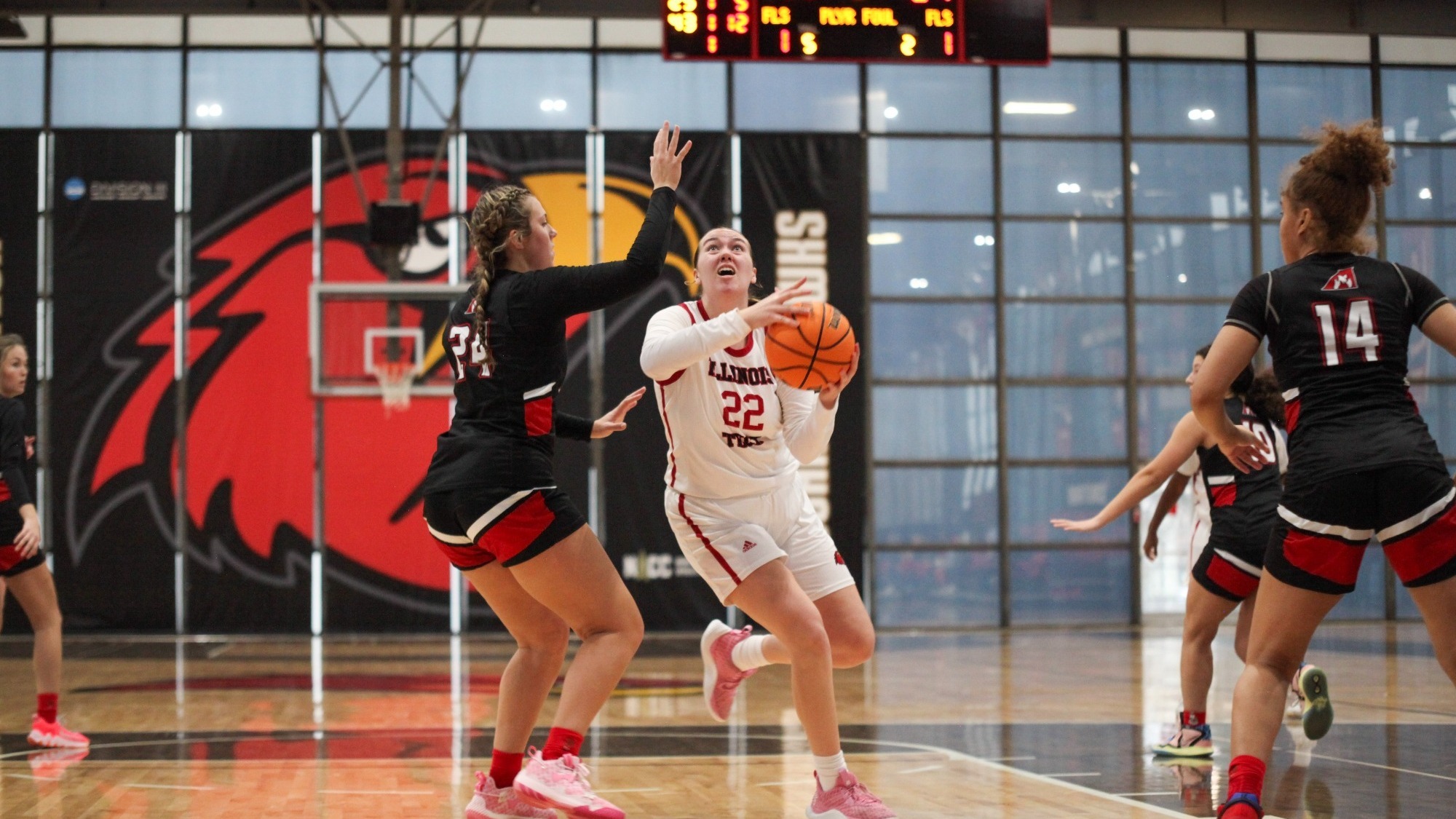 Scrappy Effort By Women's Basketball Falls Short At Lakeland - Illinois ...