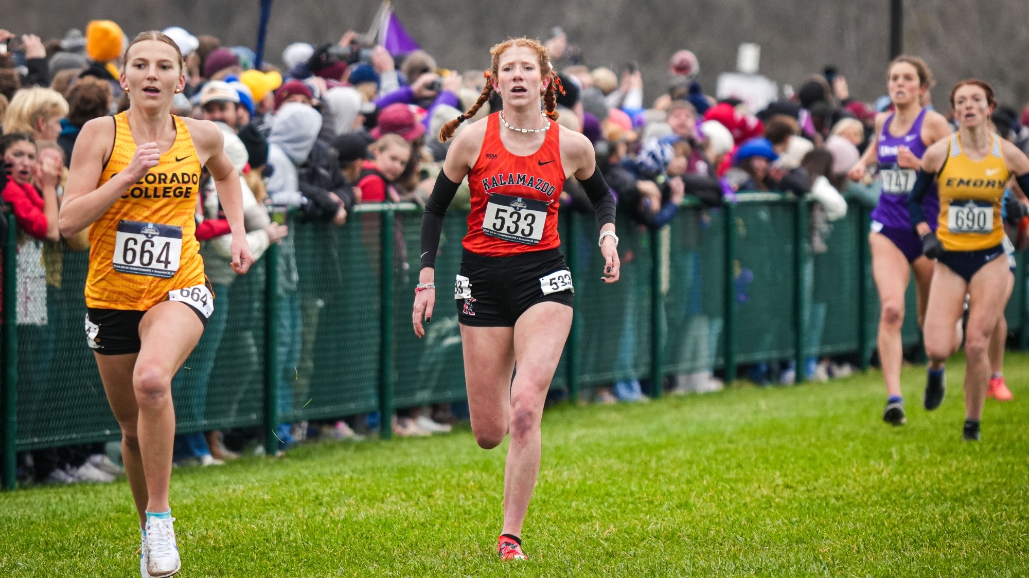 Paige Anderson Earns CSC Academic All-District Team Honors - Kalamazoo ...