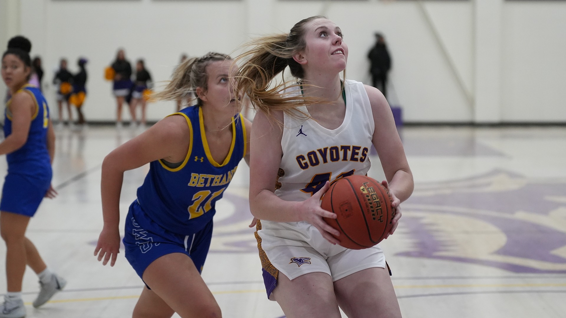 Brooke Strine - 2023-24 - Women's Basketball - Kansas Wesleyan University