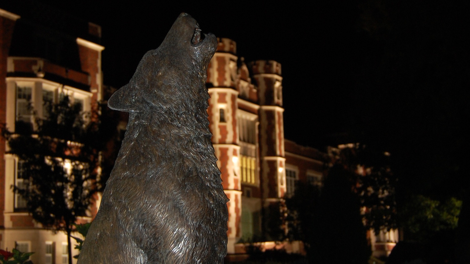 Coyote Athletics Reflects on Successes in the Classroom - Kansas ...