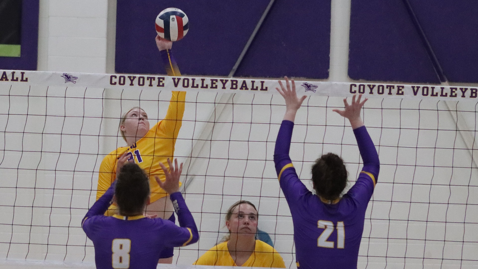 2023 Women's Volleyball Season Preview - New faces ready to make impact ...