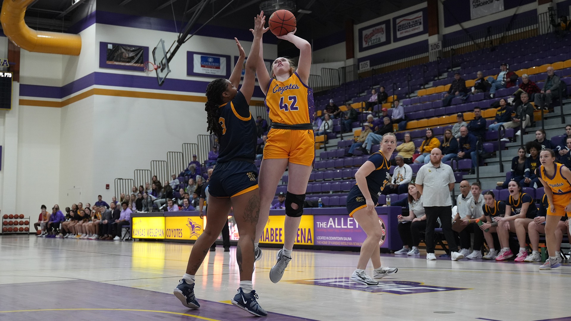 Brooke Strine - 2023-24 - Women's Basketball - Kansas Wesleyan University