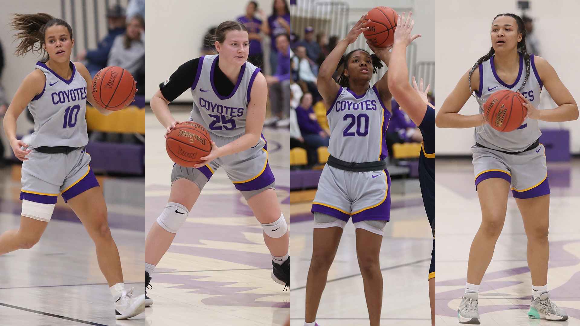 Taylor to lead KWU Women's Basketball program - Kansas Wesleyan University