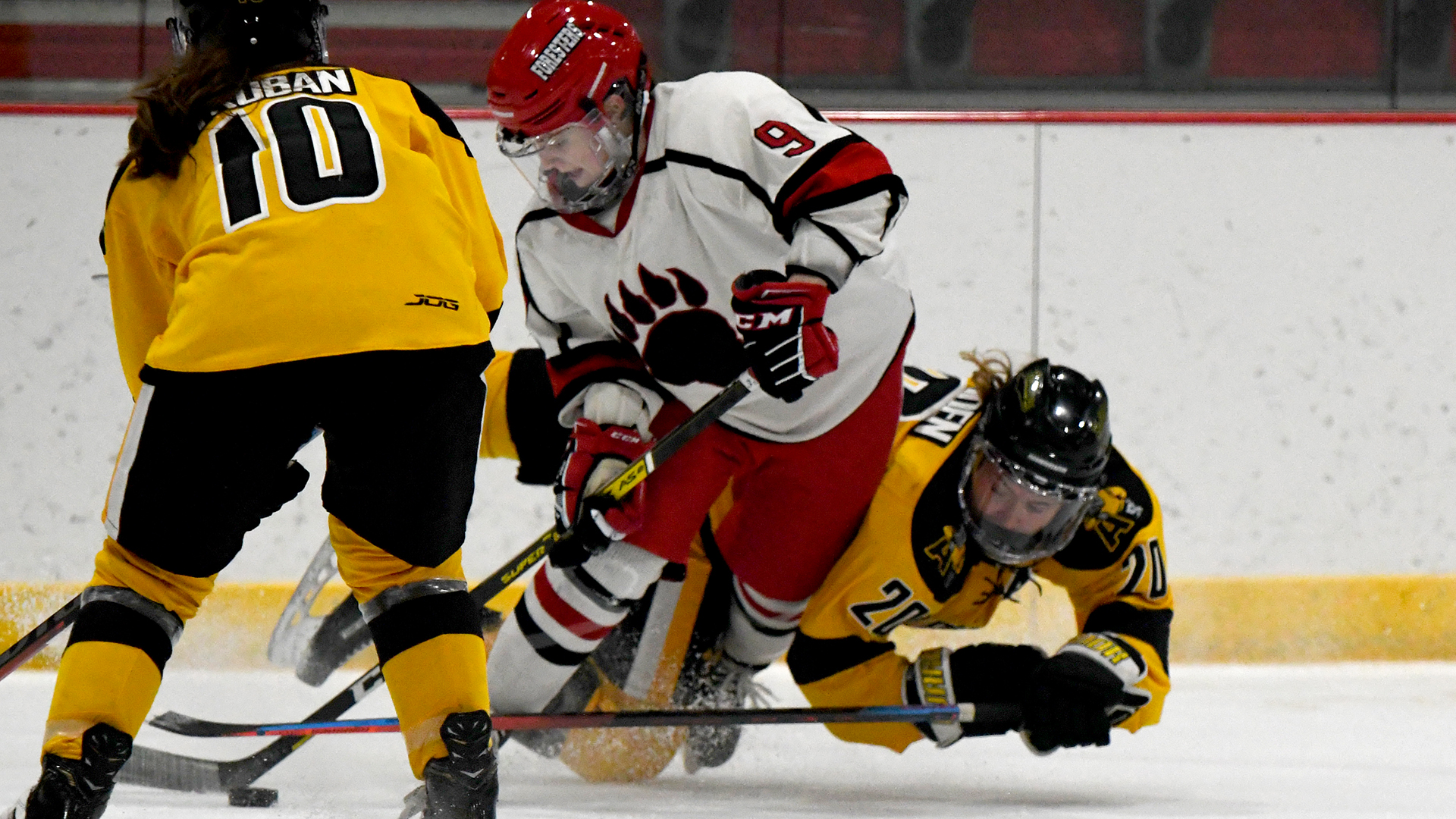 Foresters Unable to Get Past Adrian in NCHA Playoffs - Lake Forest College