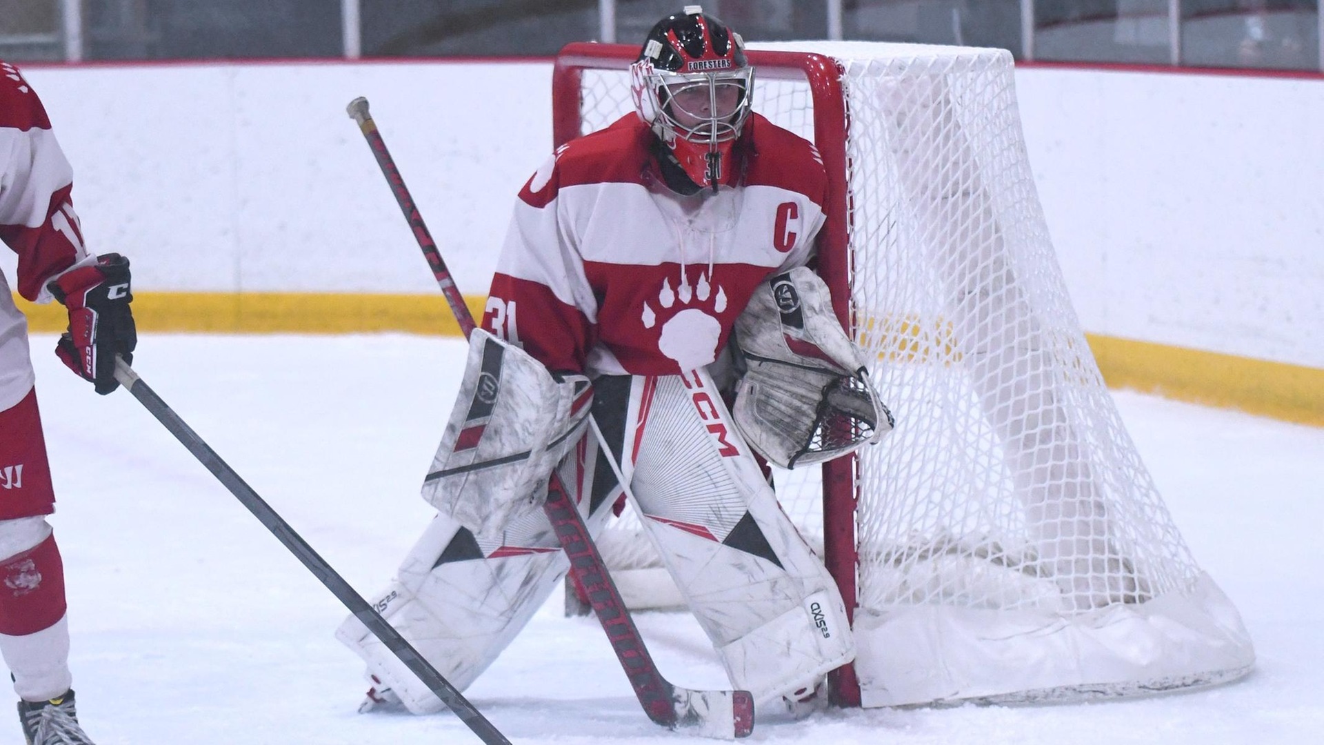 Turnage's Stellar Performance Not Quite Enough at Gustavus Adolphus ...