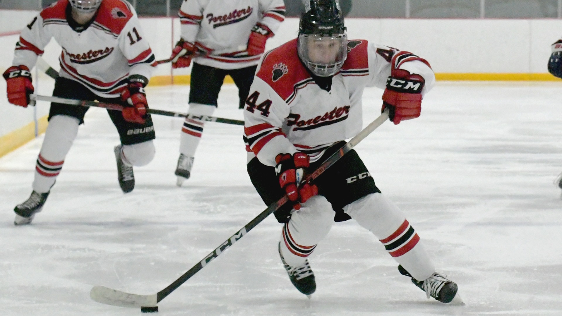 Lake Forest Earns a Point in the NCHA Standings in League Opener at St ...